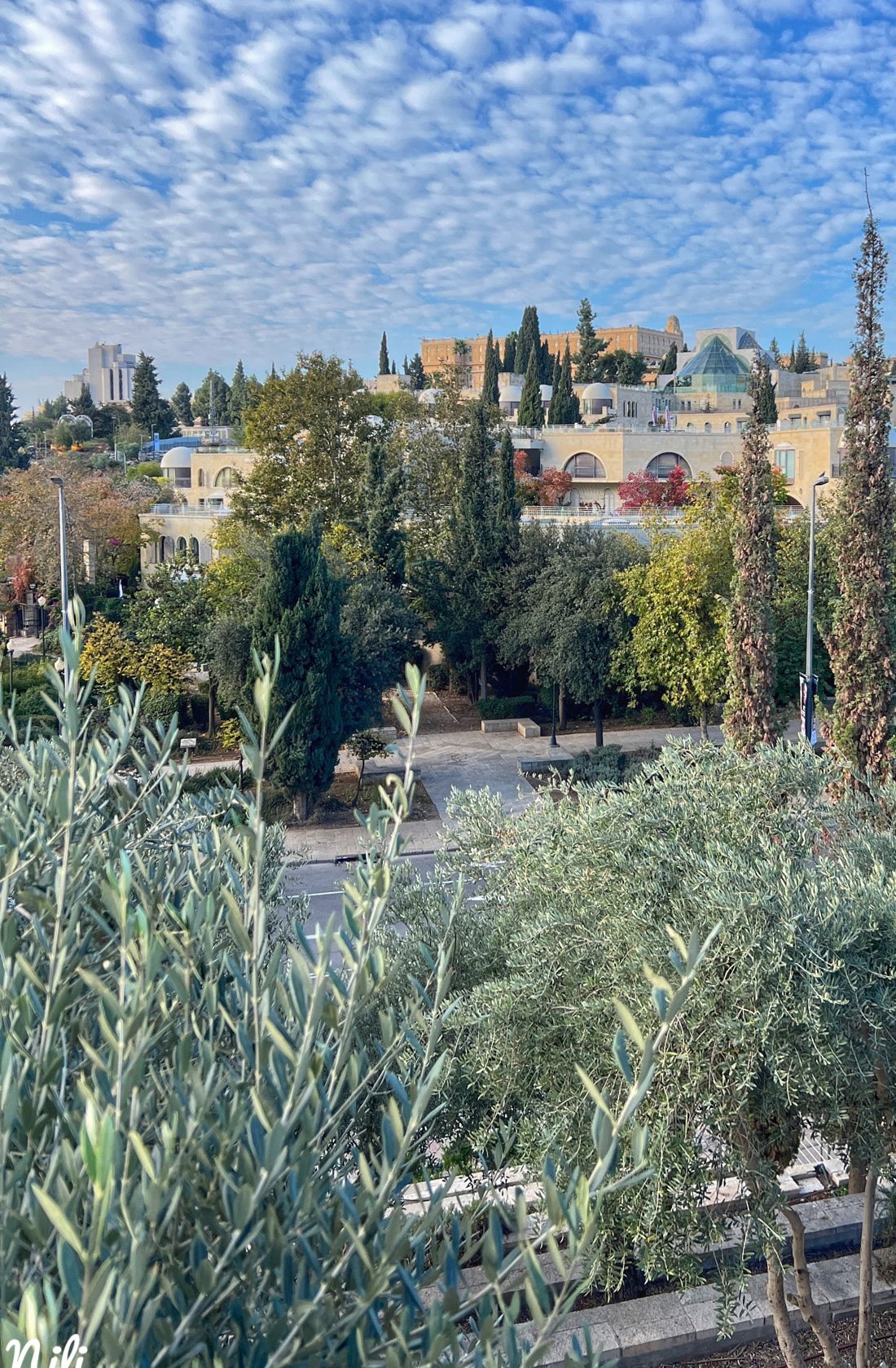 Landscapes of the Holy Land Photos - Nili Israel Photos