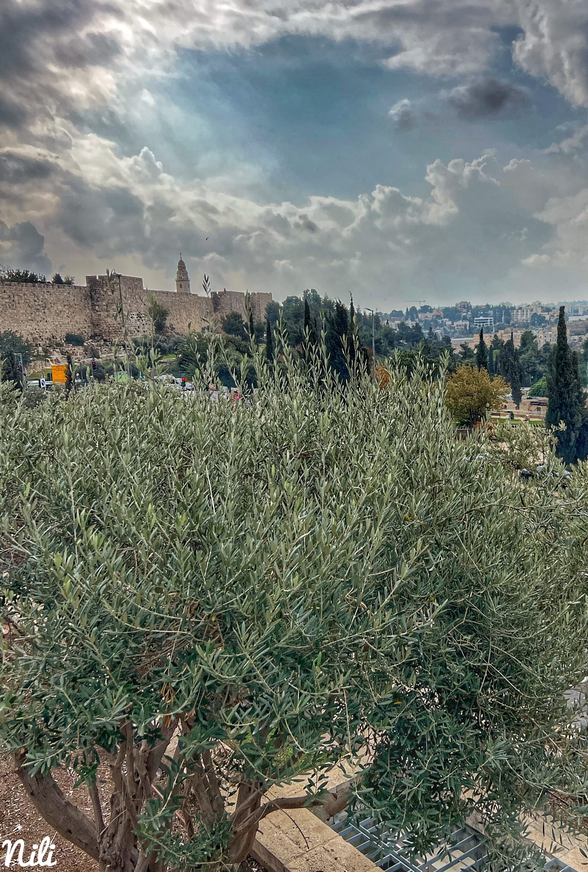 Landscapes of the Holy Land Photos - Nili Israel Photos
