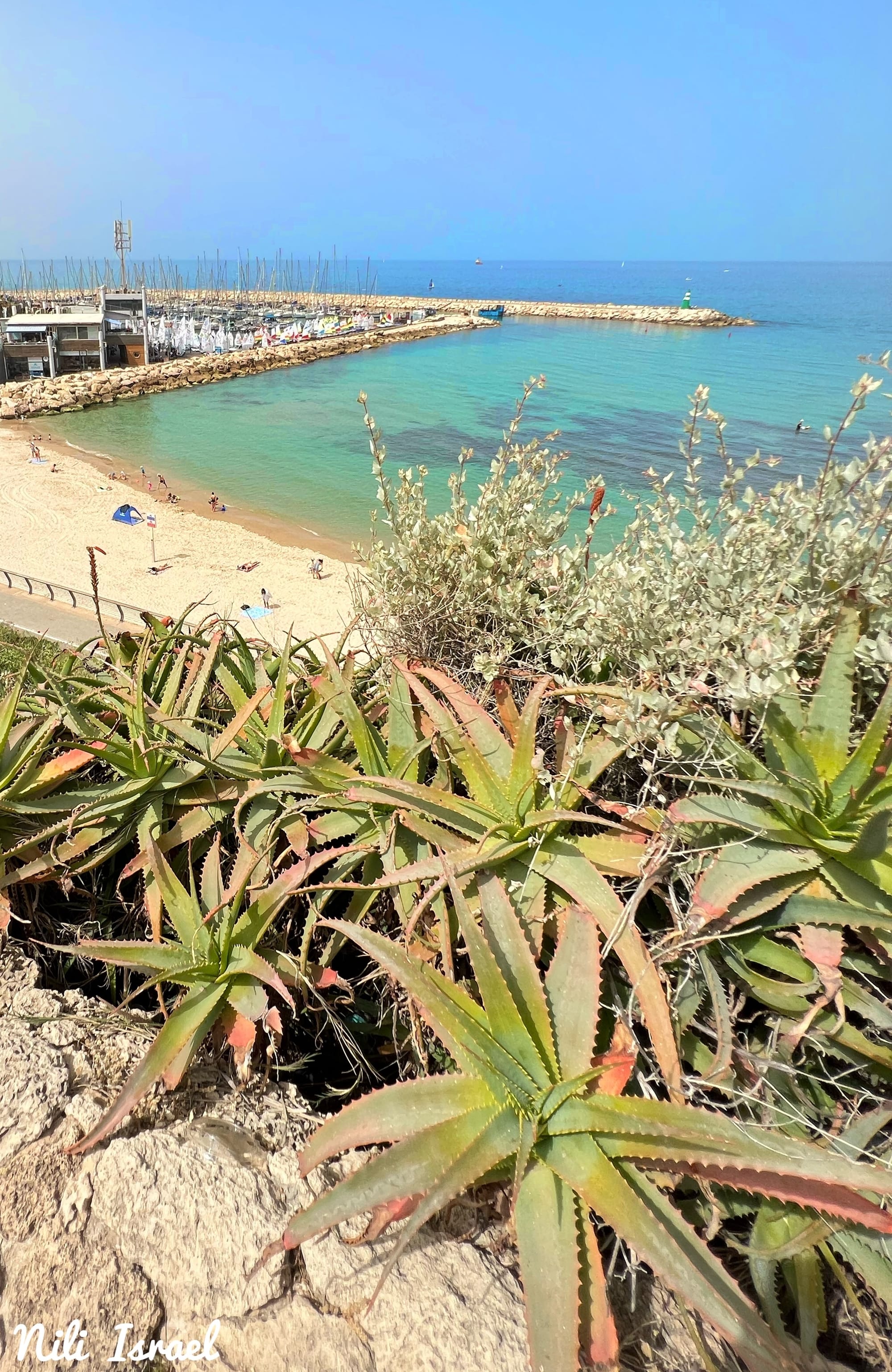 Landscapes of the Holy Land Photos - Nili Israel Photos