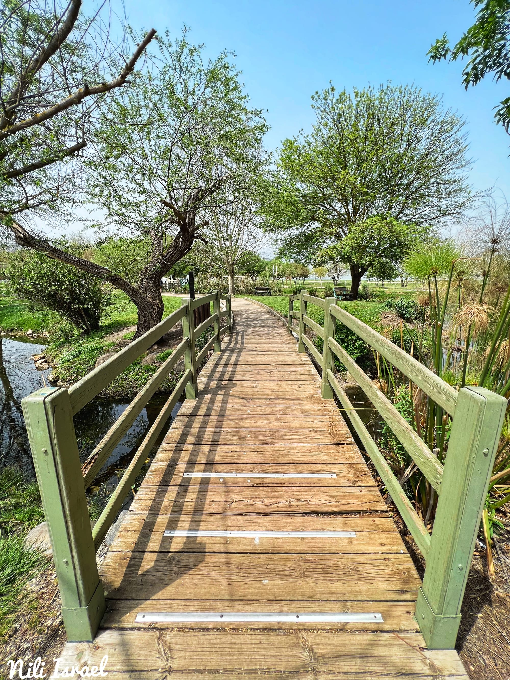 Landscapes of the Holy Land Photos - Nili Israel Photos