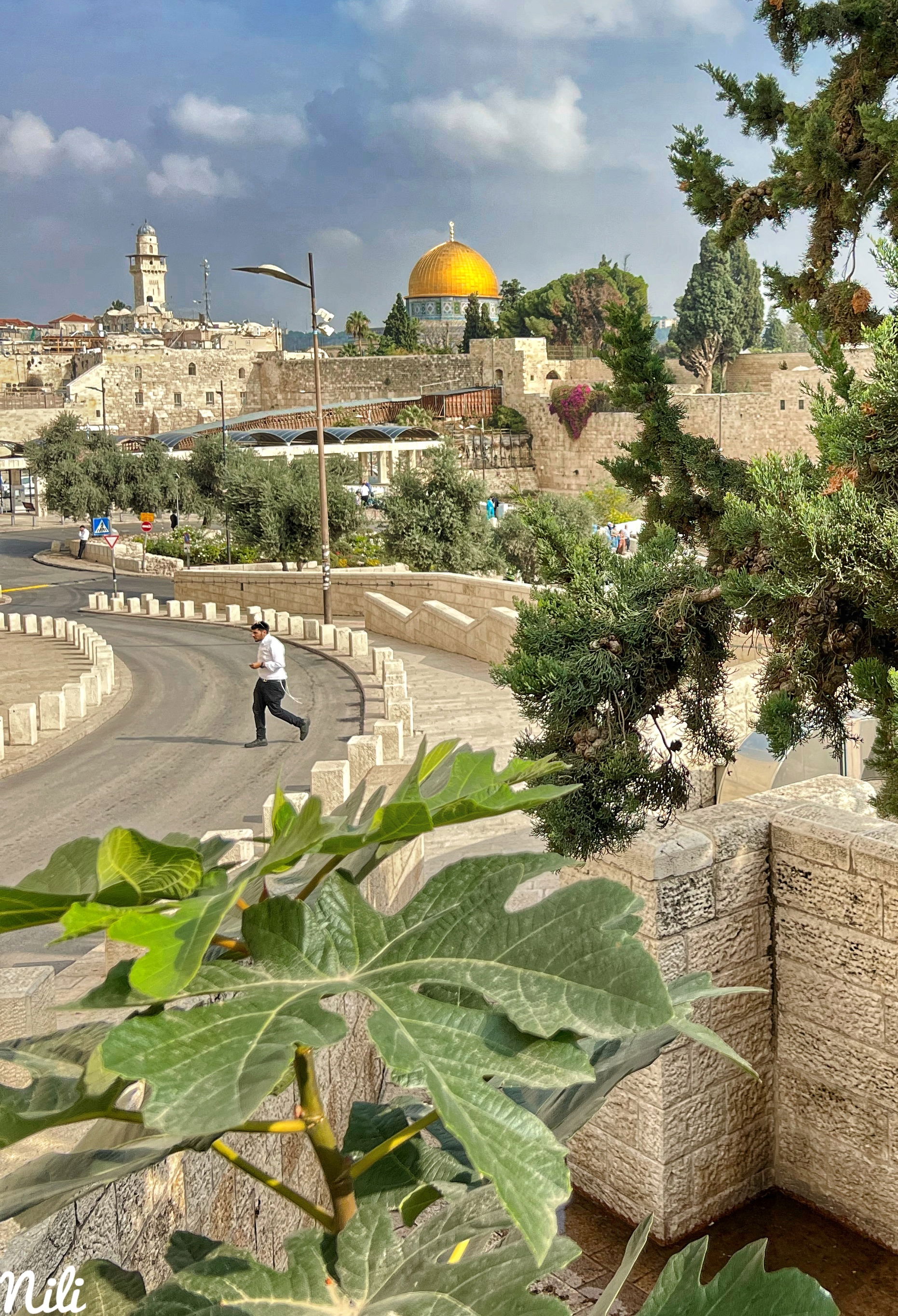 The Temple Mount, Jerusalem - Nili Israel Photos