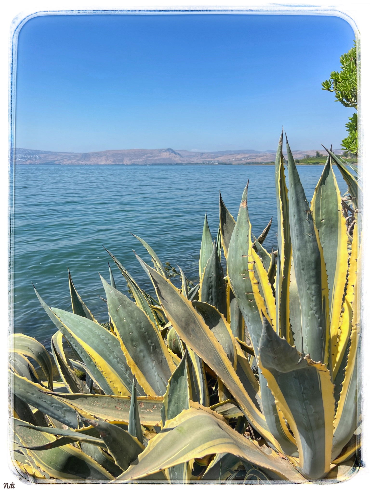 Sea of Galilee Photos - Nili Israel Photos