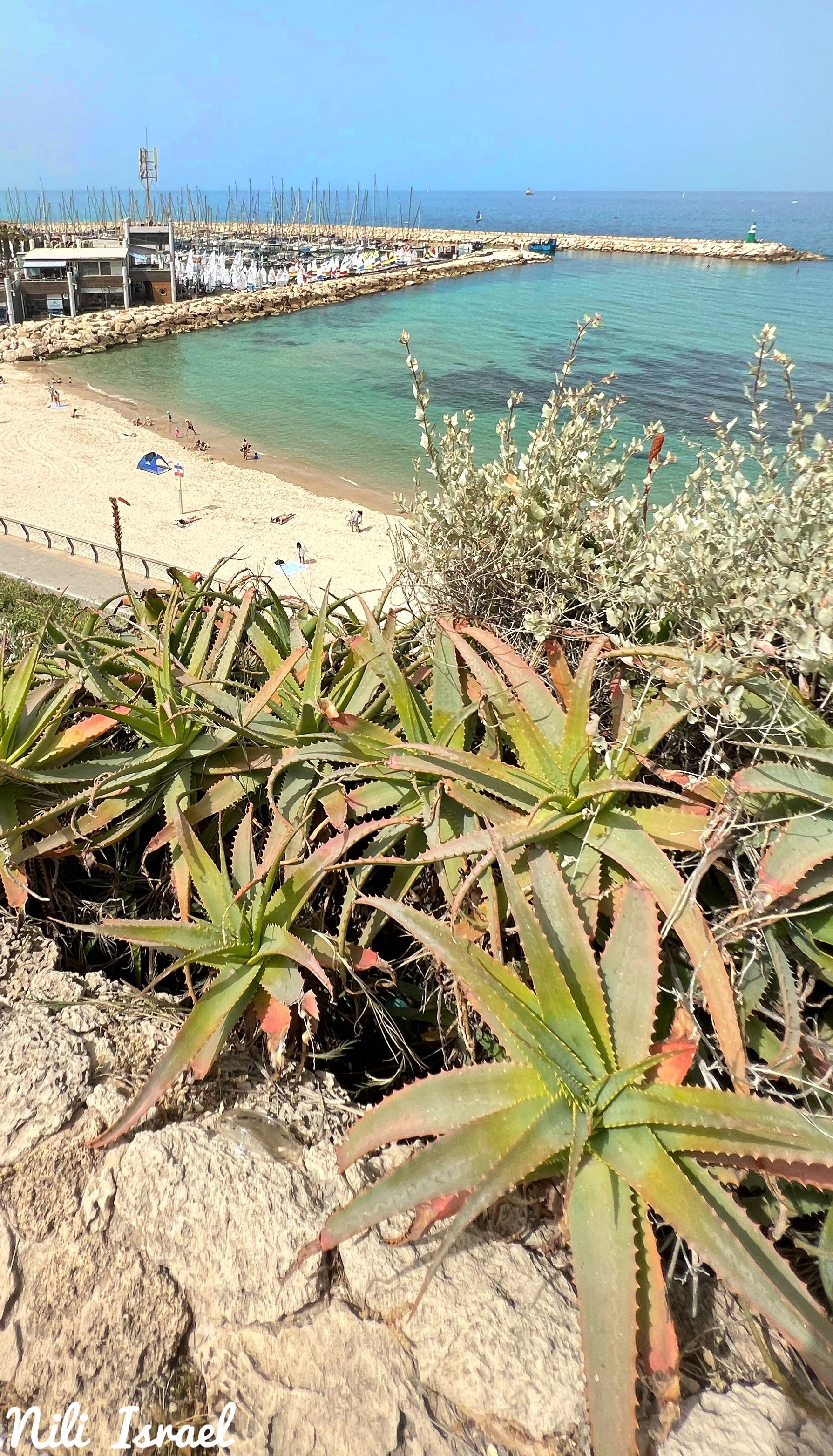 Israel Views and Landscape Photos - Nili Israel Photos