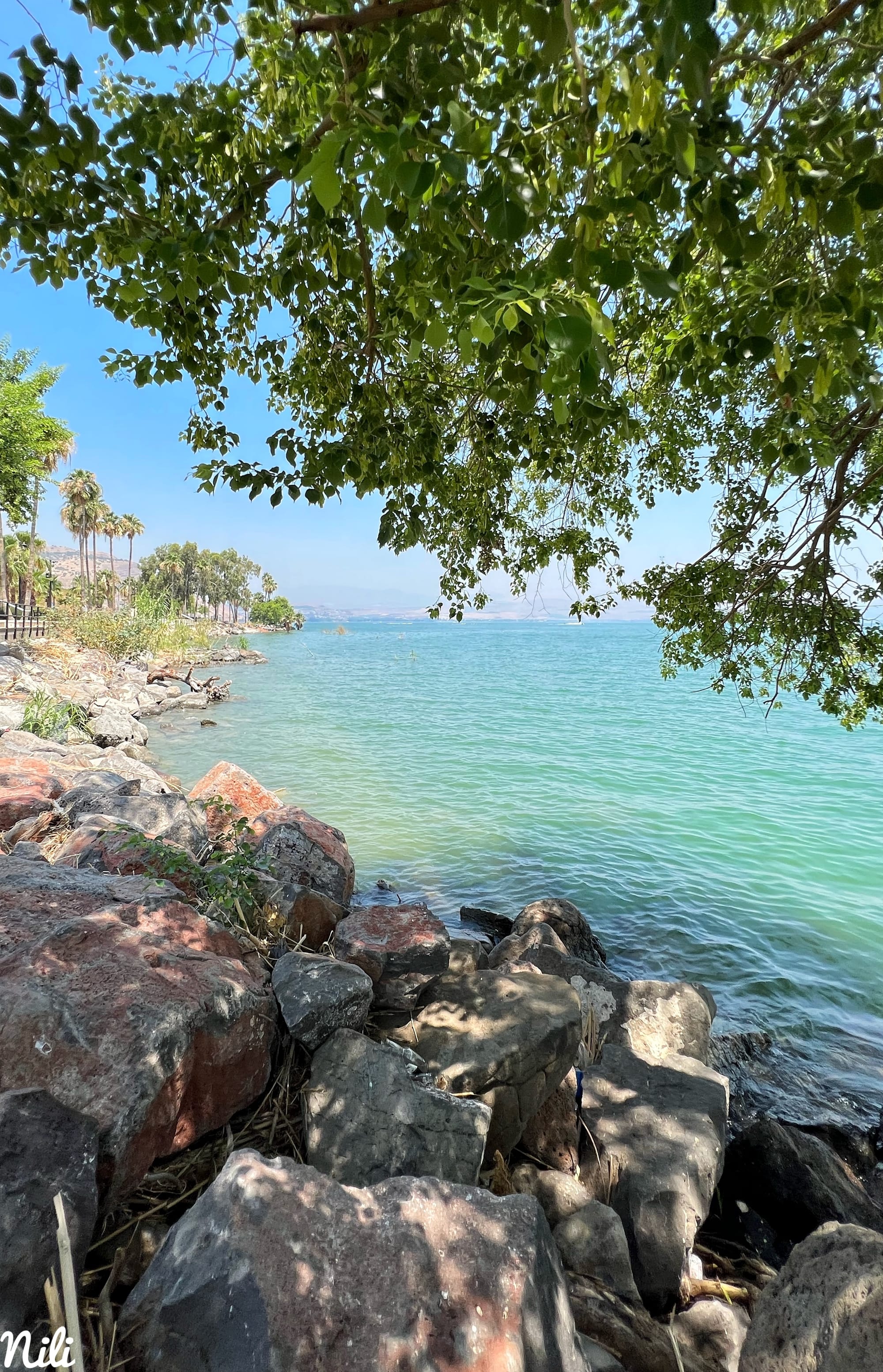 Israel Views and Landscape Photos - Nili Israel Photos