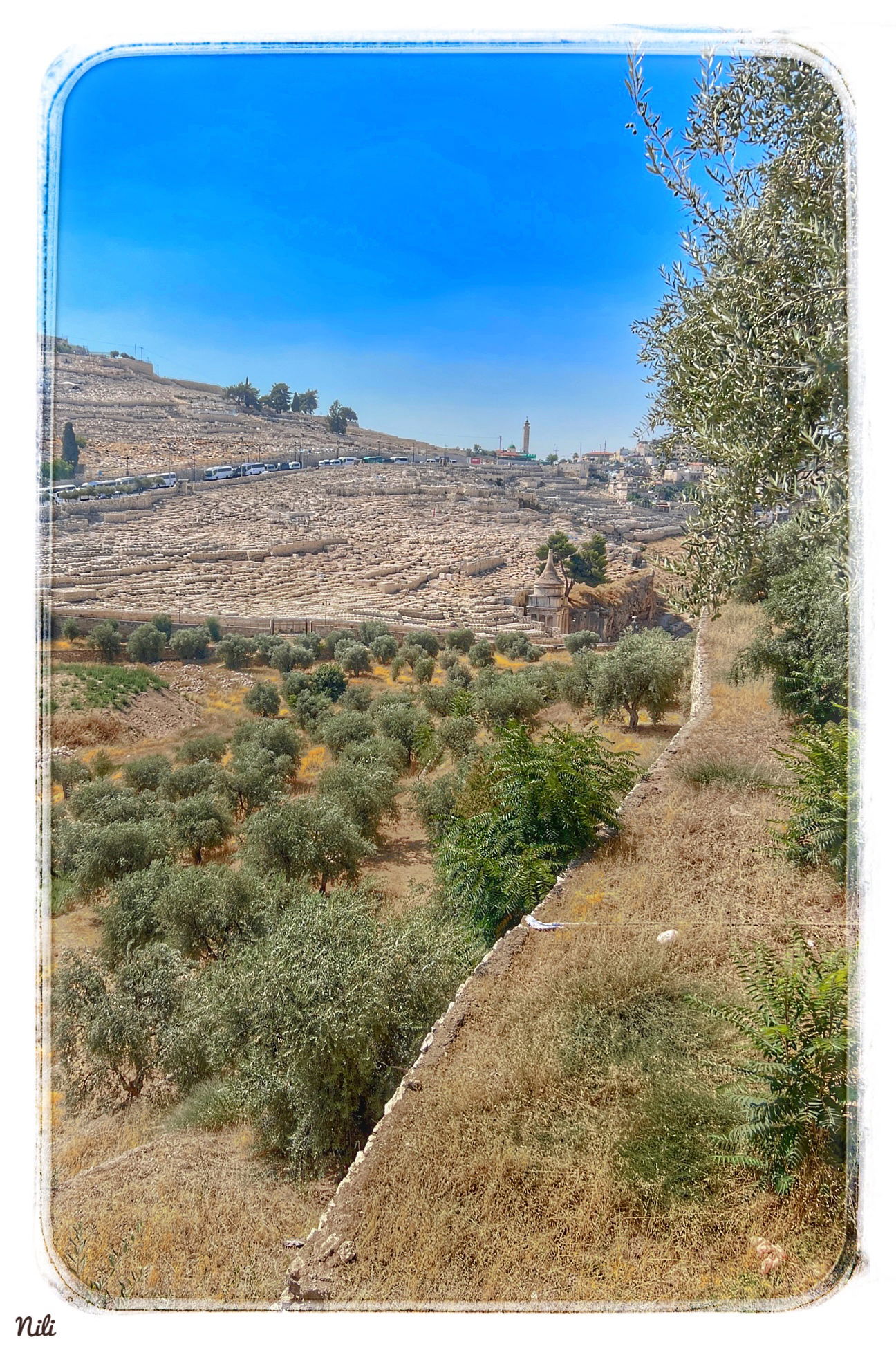 Israel Views and Landscape Photos - Nili Israel Photos