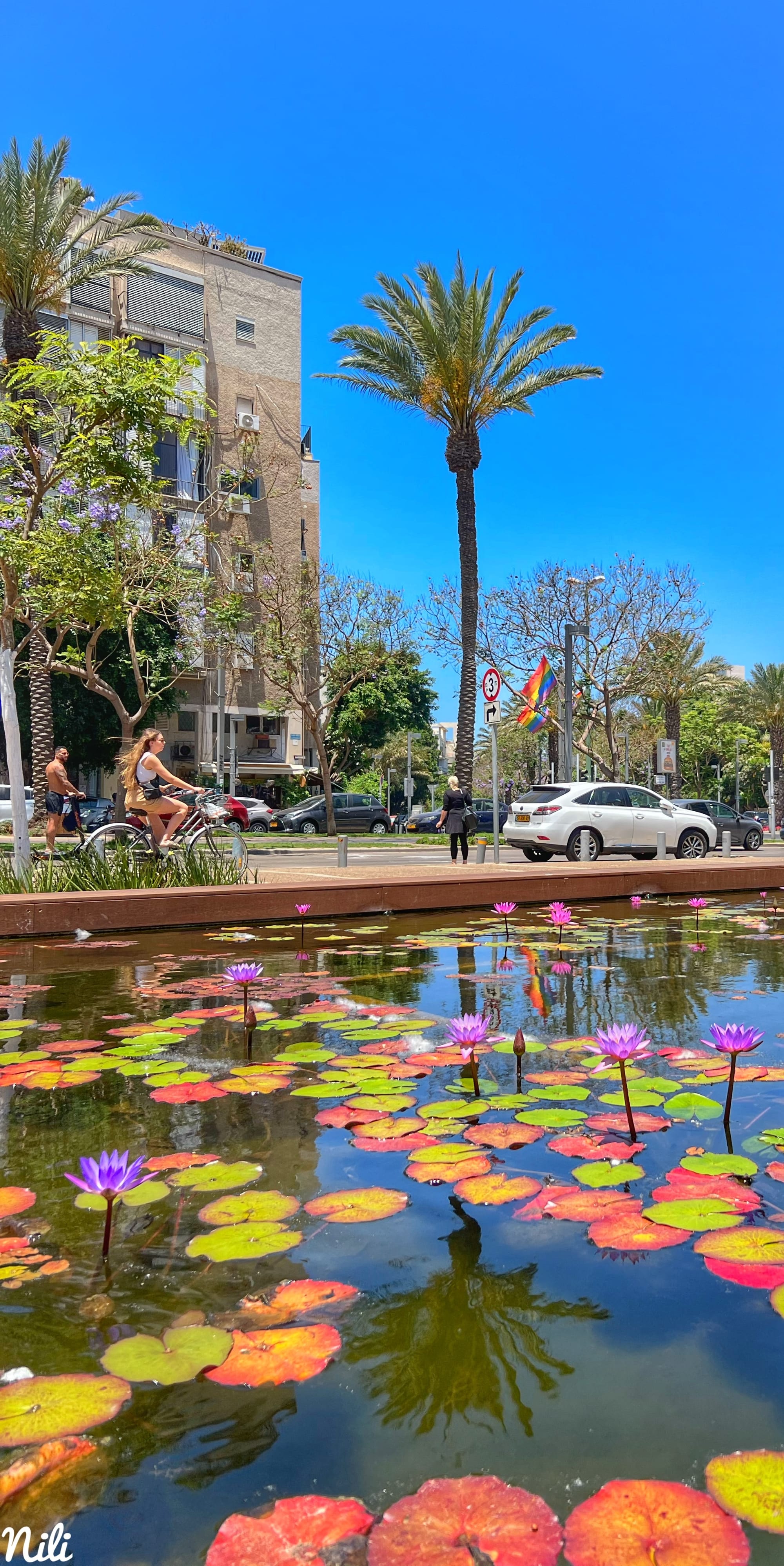 ISRAELI STREET ART - Nili Israel Photos