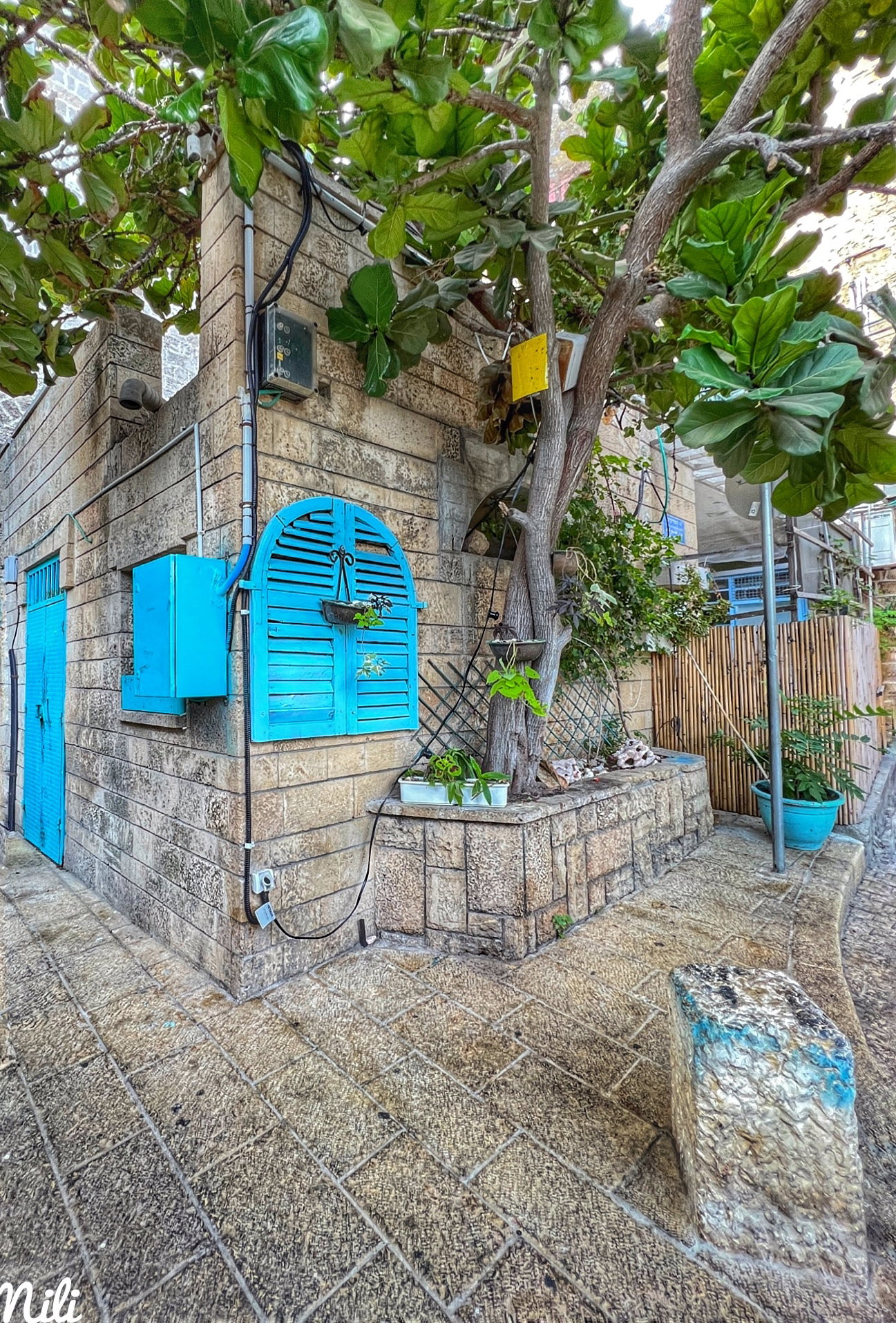 ISRAELI STREET ART - Nili Israel Photos
