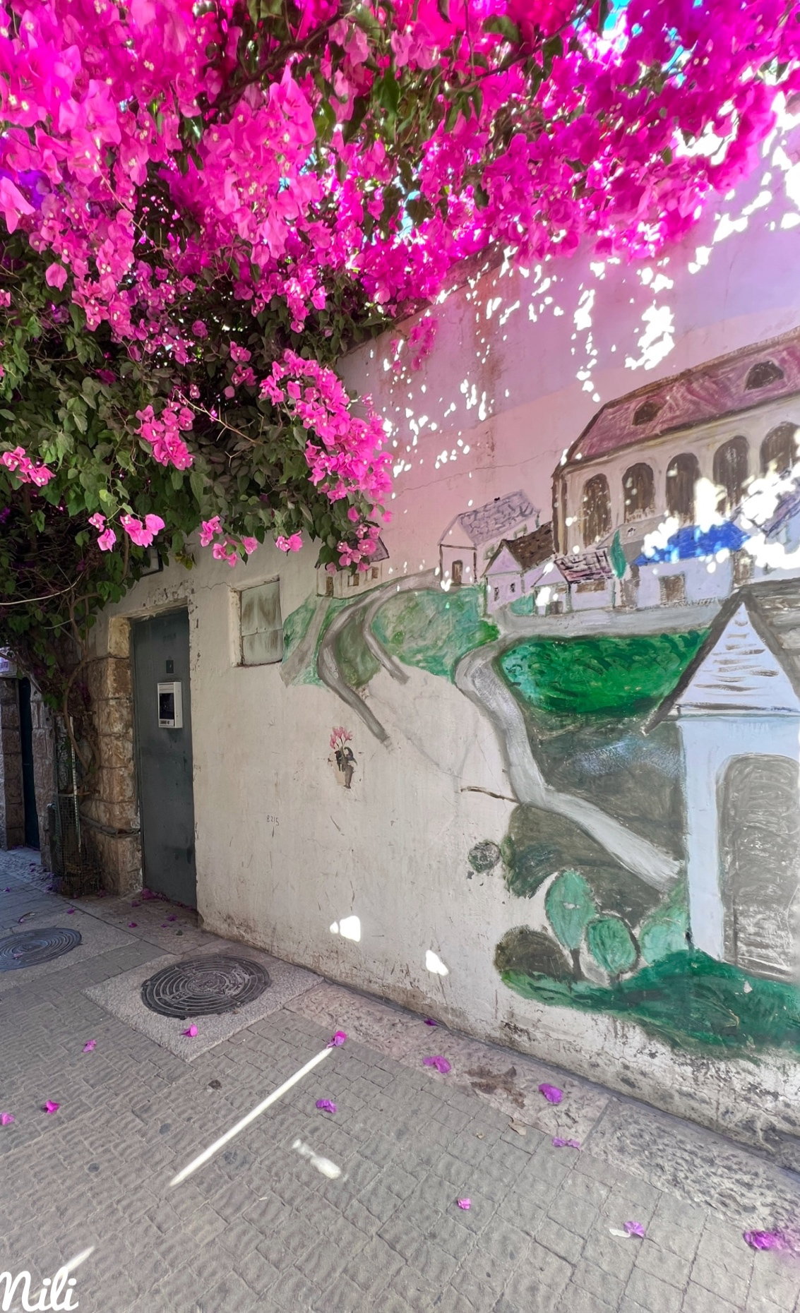 ISRAELI STREET ART - Nili Israel Photos