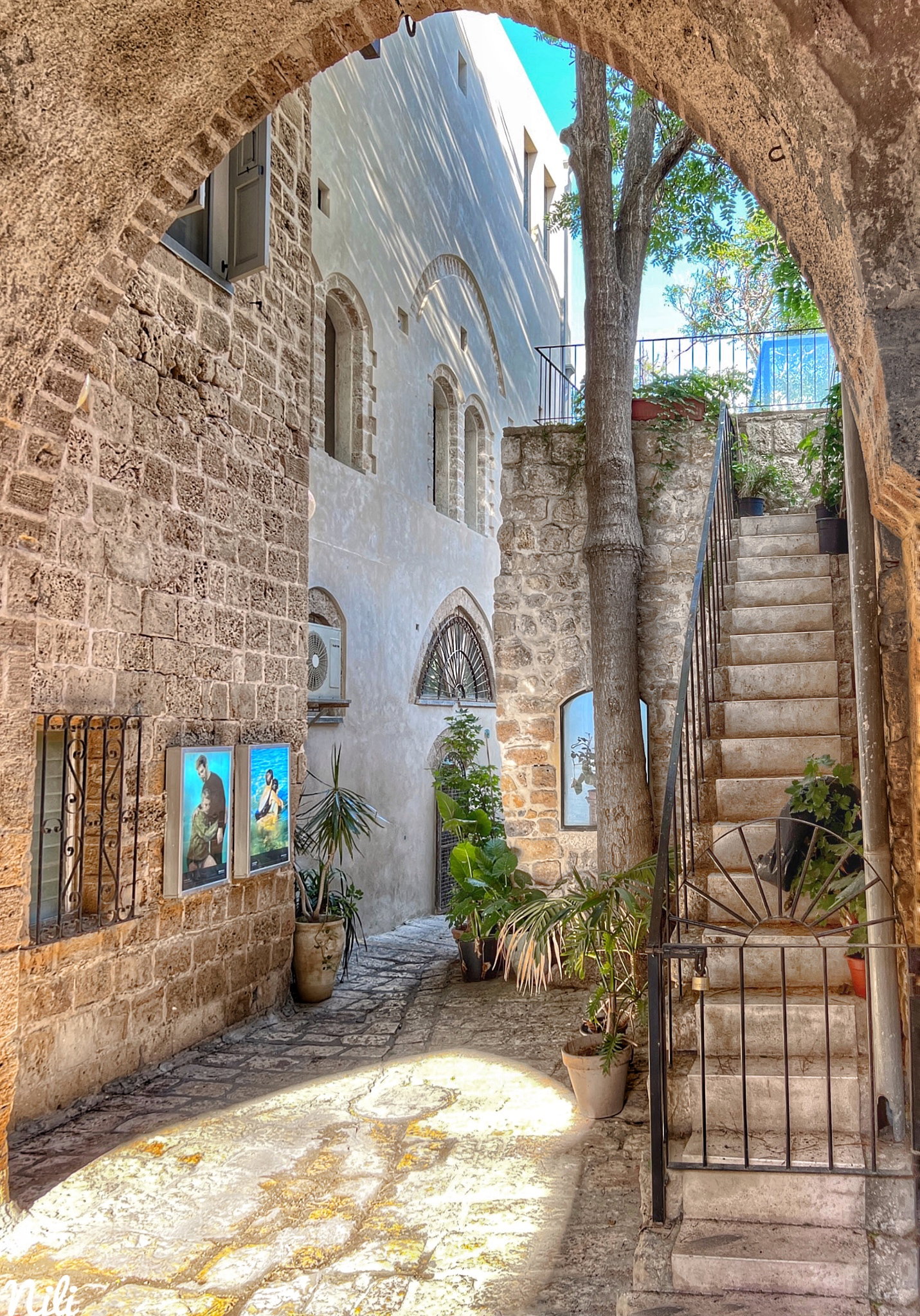 ISRAELI STREET ART - Nili Israel Photos