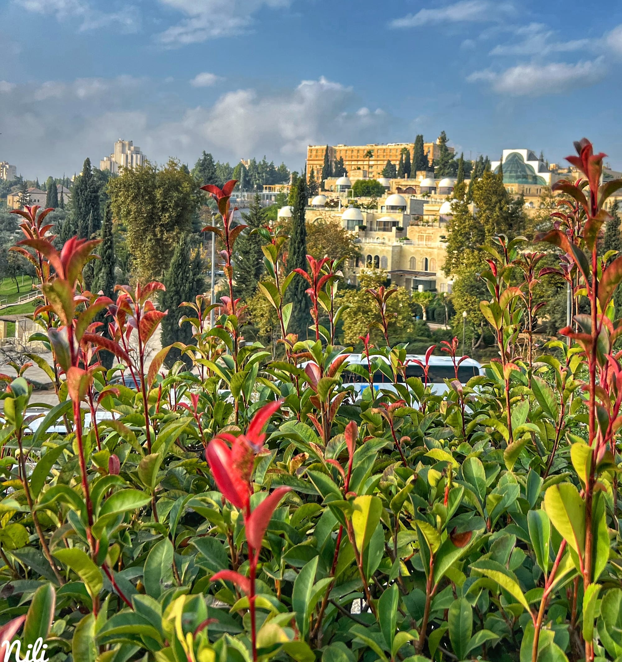 - Nili Israel Photos