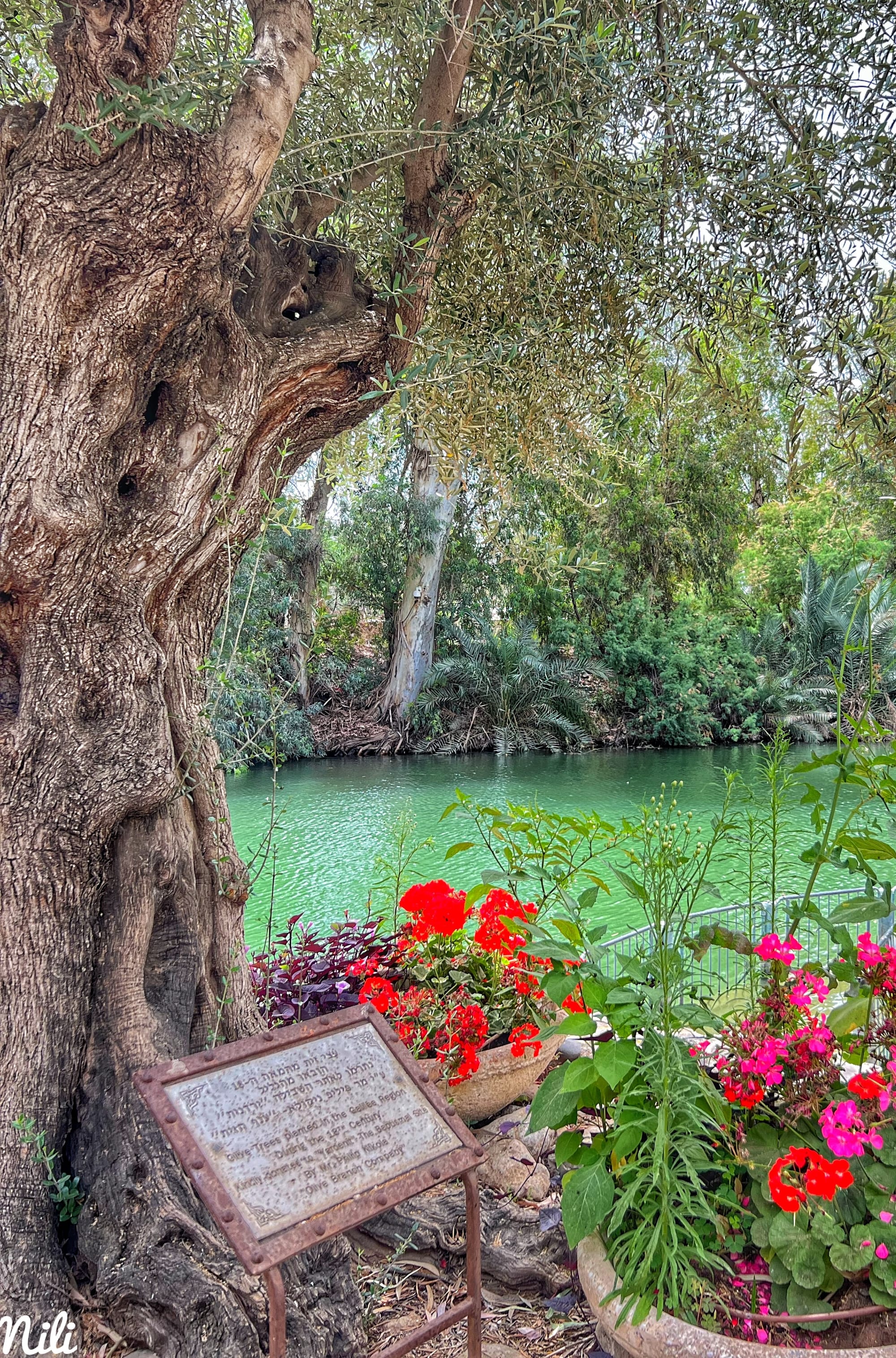 Sea of Galilee Photos - Nili Israel Photos