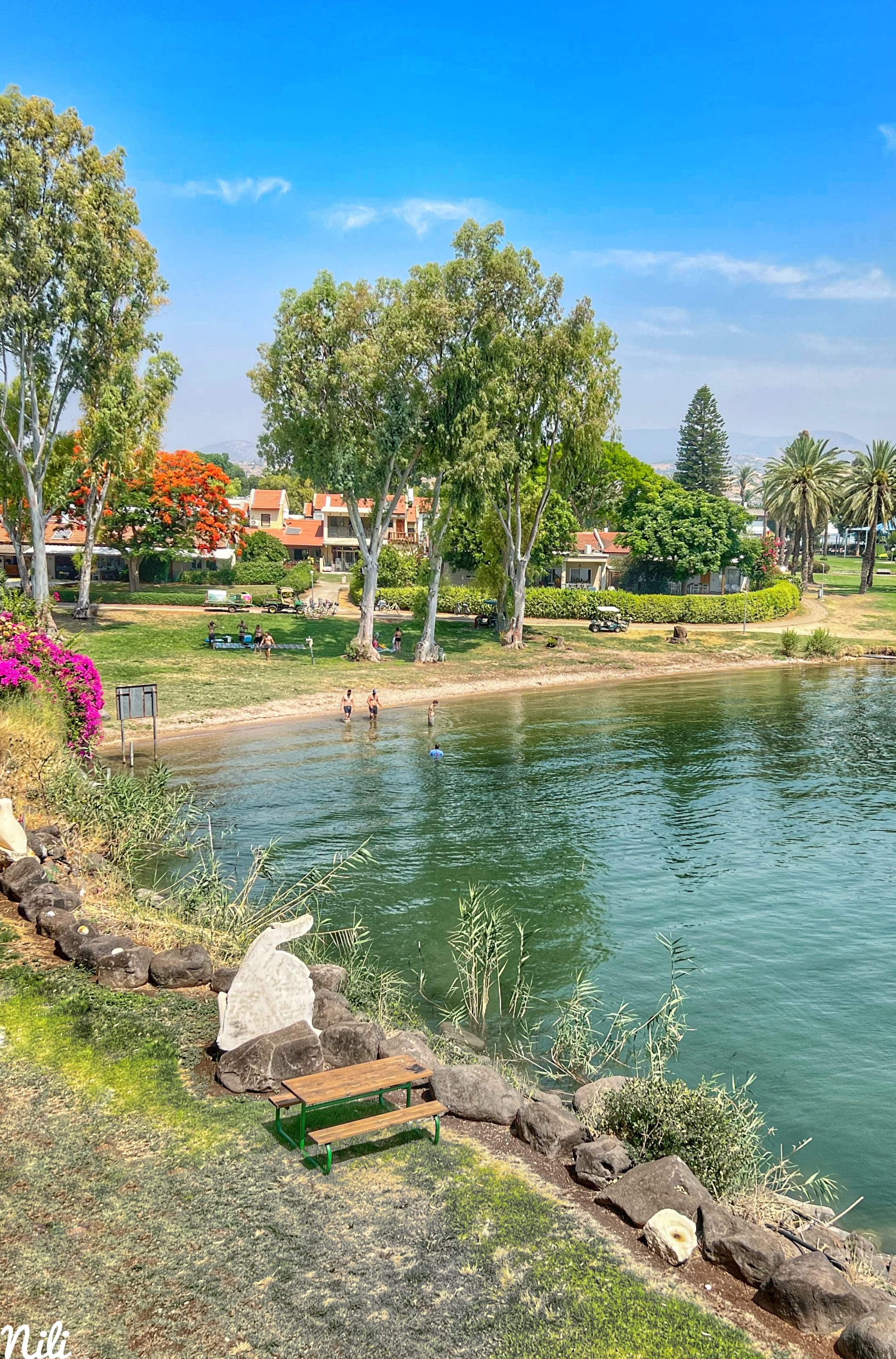 Sea of Galilee Photos - Nili Israel Photos