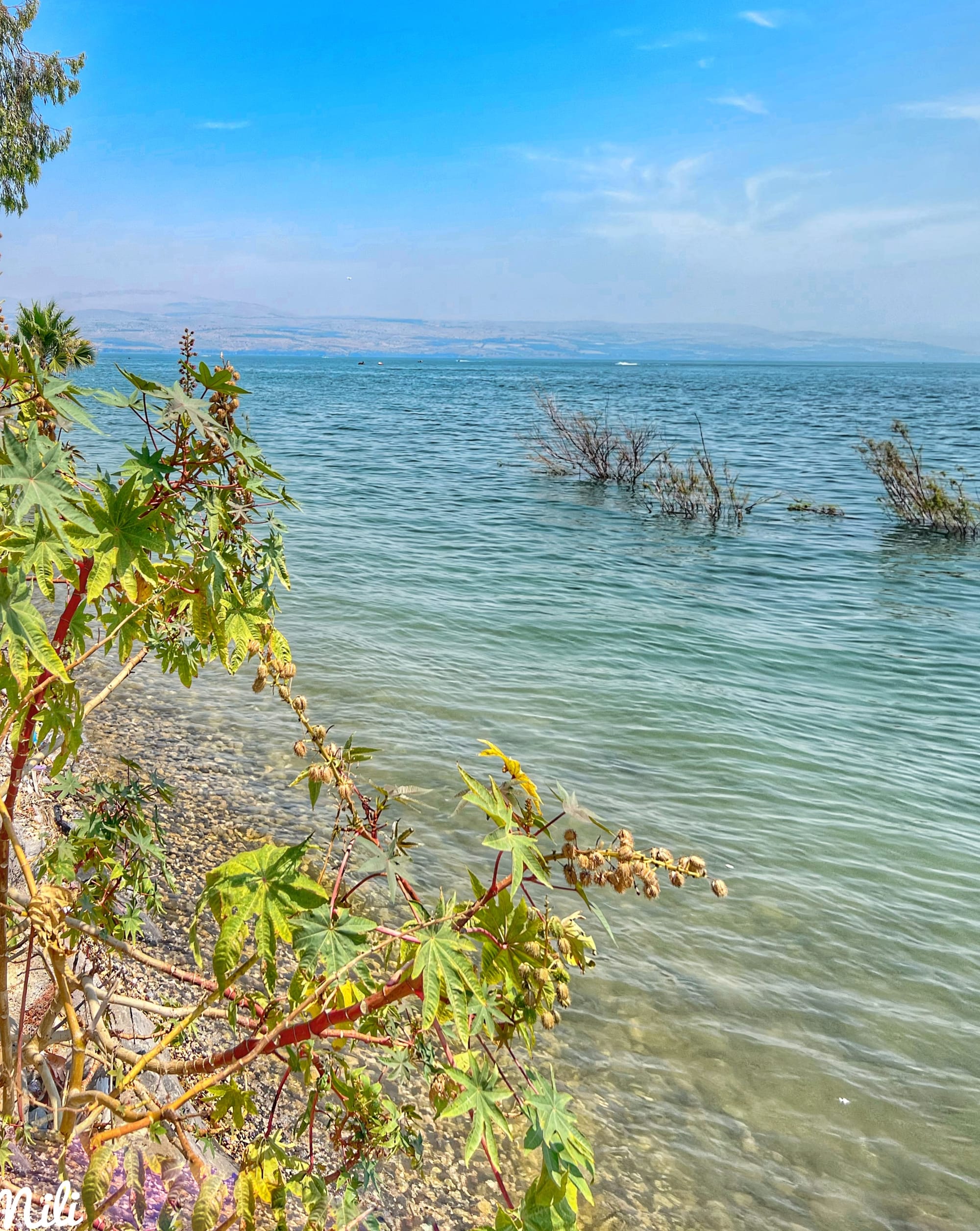 Sea of Galilee Photos - Nili Israel Photos