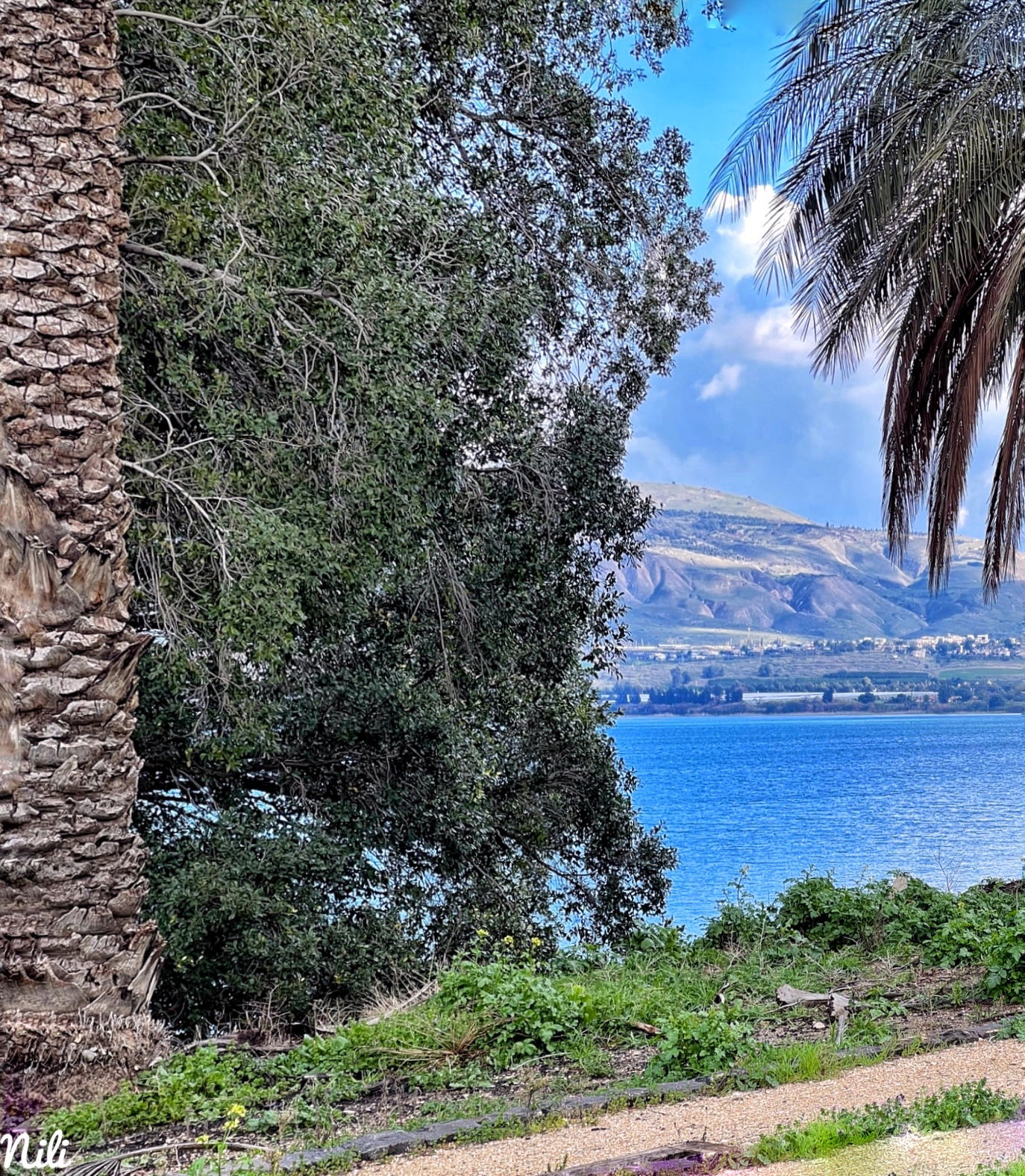Sea of Galilee Photos - Nili Israel Photos
