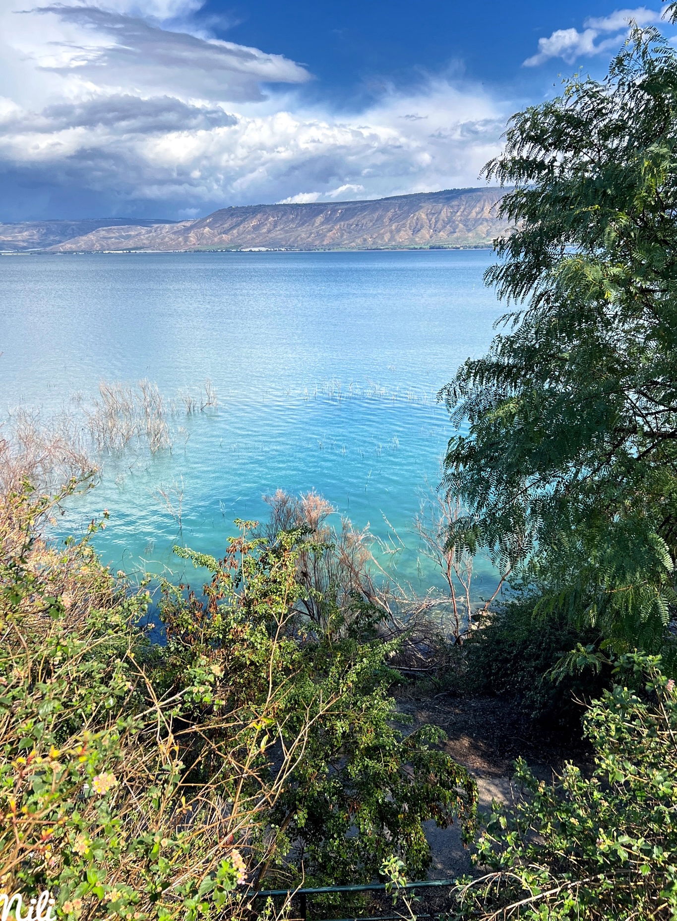 Sea of Galilee Photos - Nili Israel Photos
