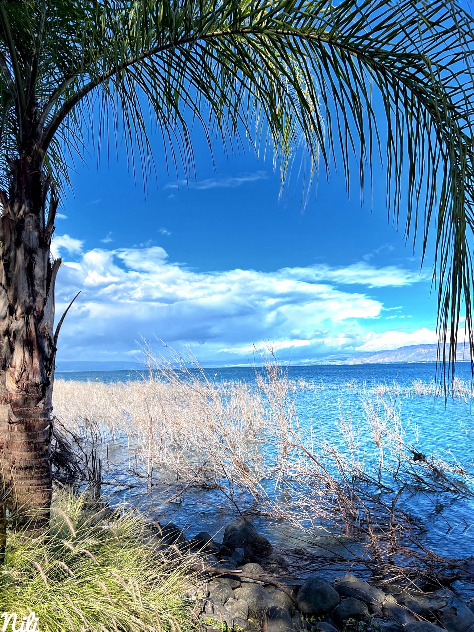 Sea of Galilee Photos - Nili Israel Photos