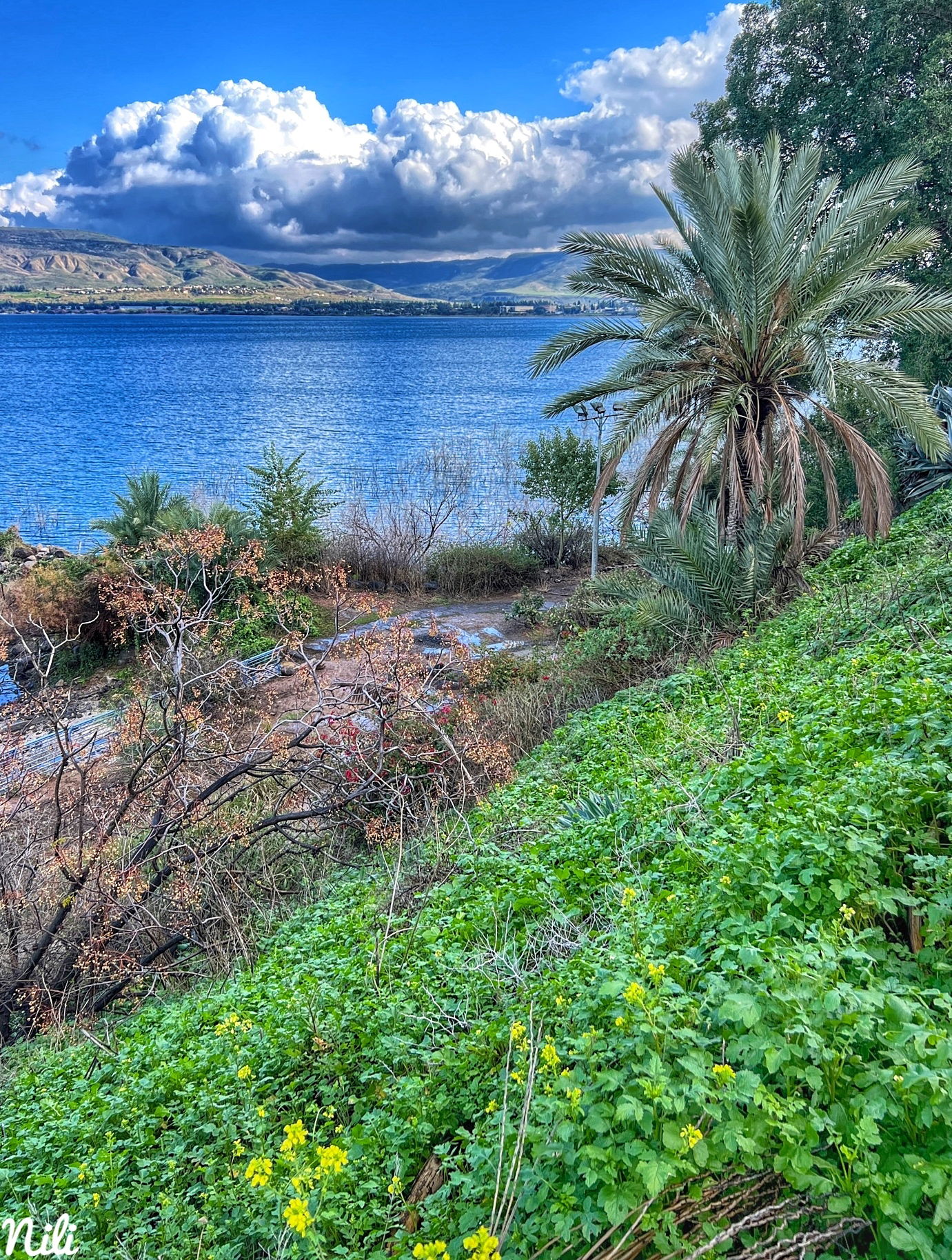Sea of Galilee Photos - Nili Israel Photos