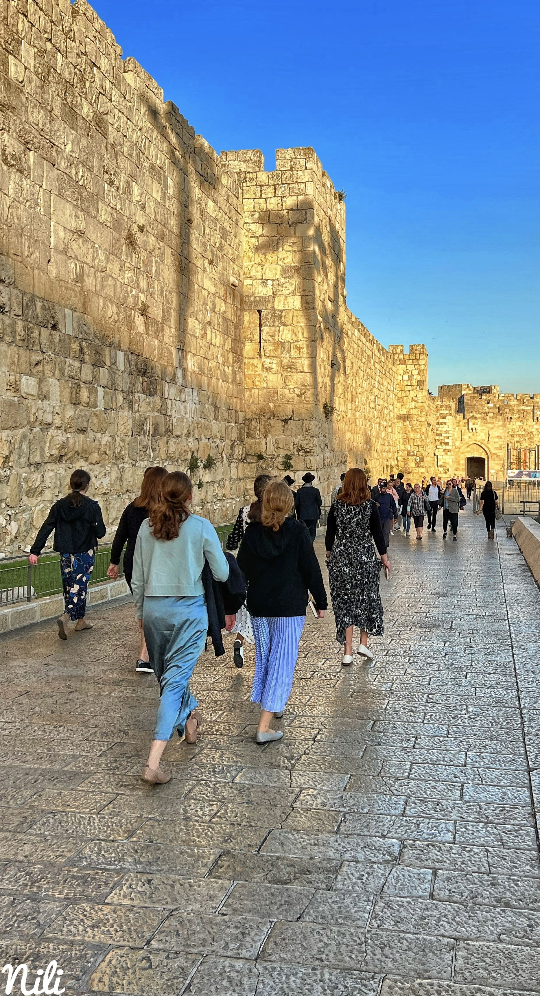 Nili Israel Photos - Welcom To Nili's Israel Photo Galleries