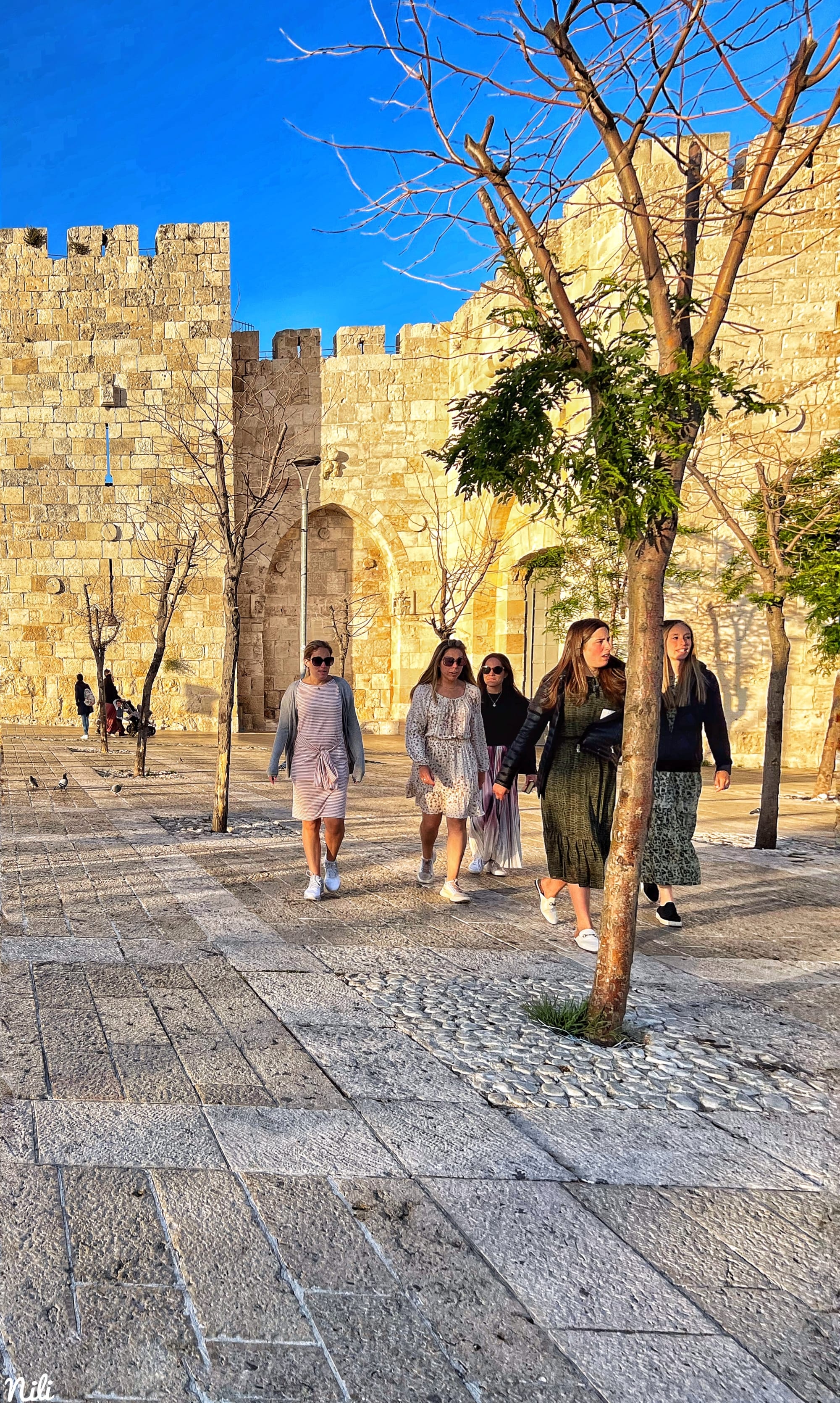 People of ISRAEL - Nili Israel Photos