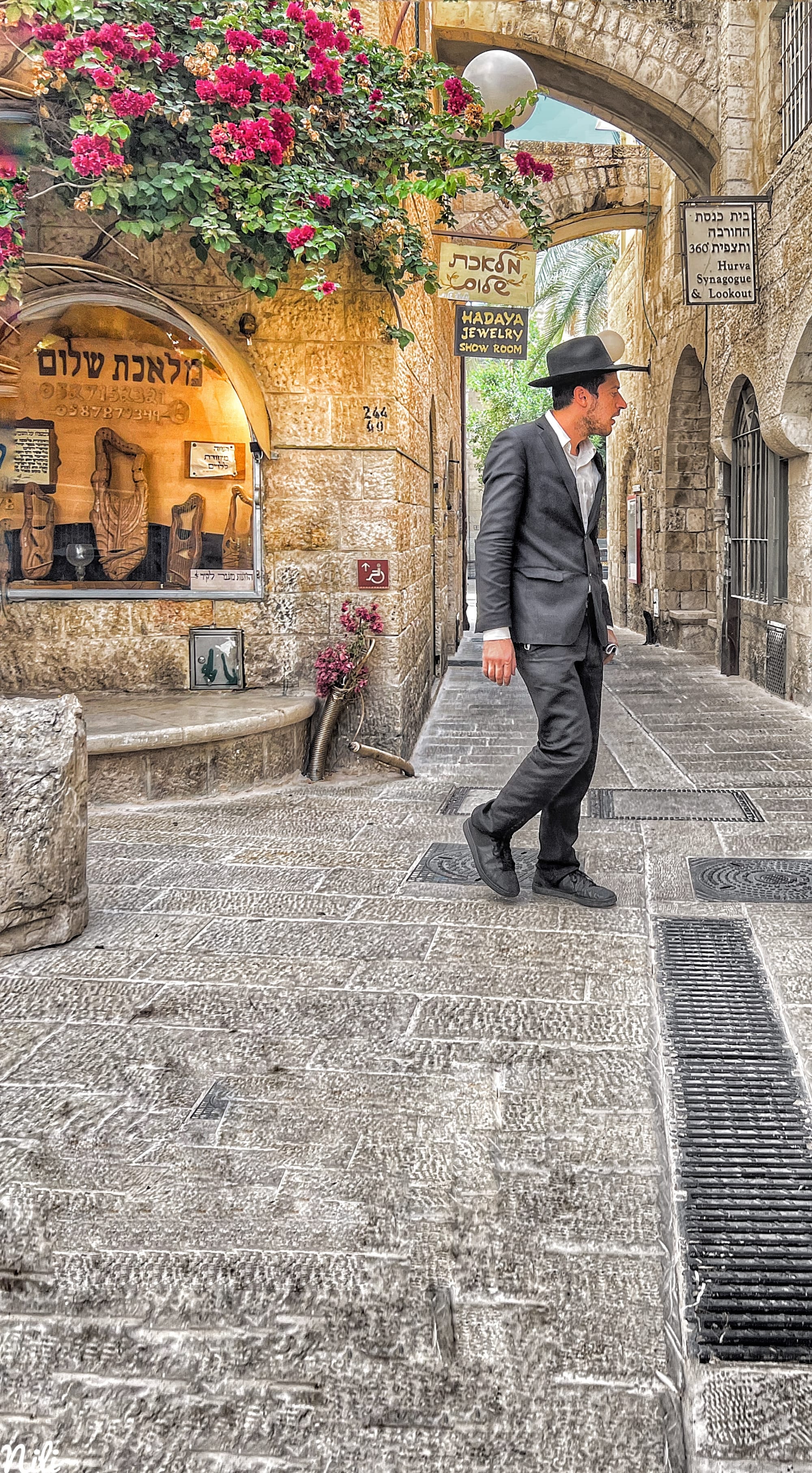 Nili Israel Photos - Welcom To Nili's Israel Photo Galleries