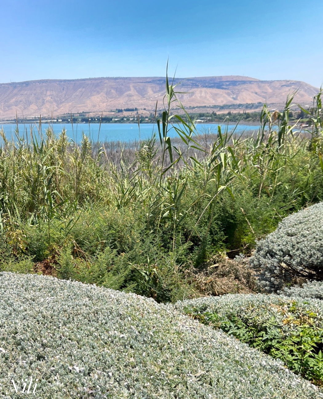 Galilee Region - Nili Israel Photos