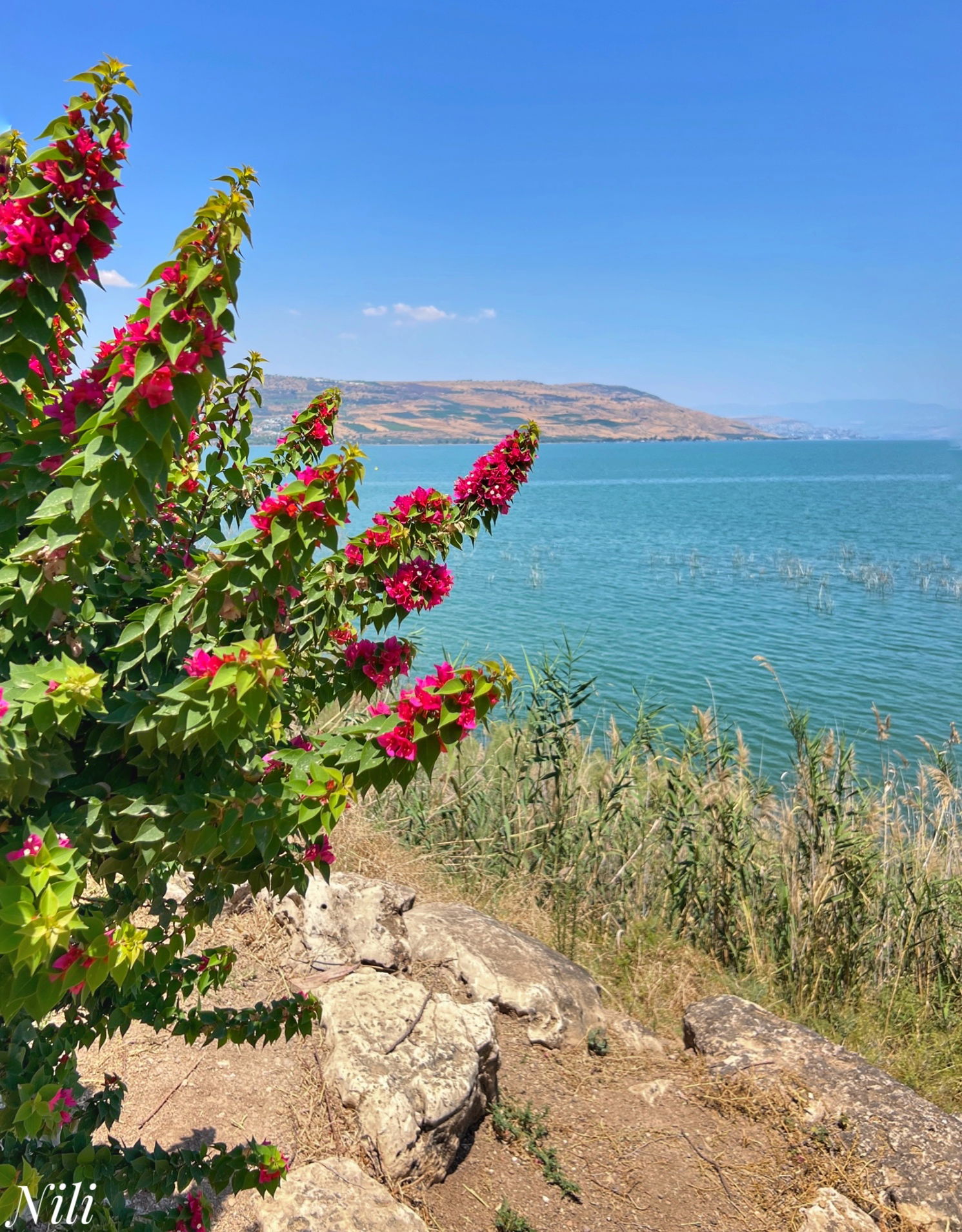 Galilee Region - Nili Israel Photos