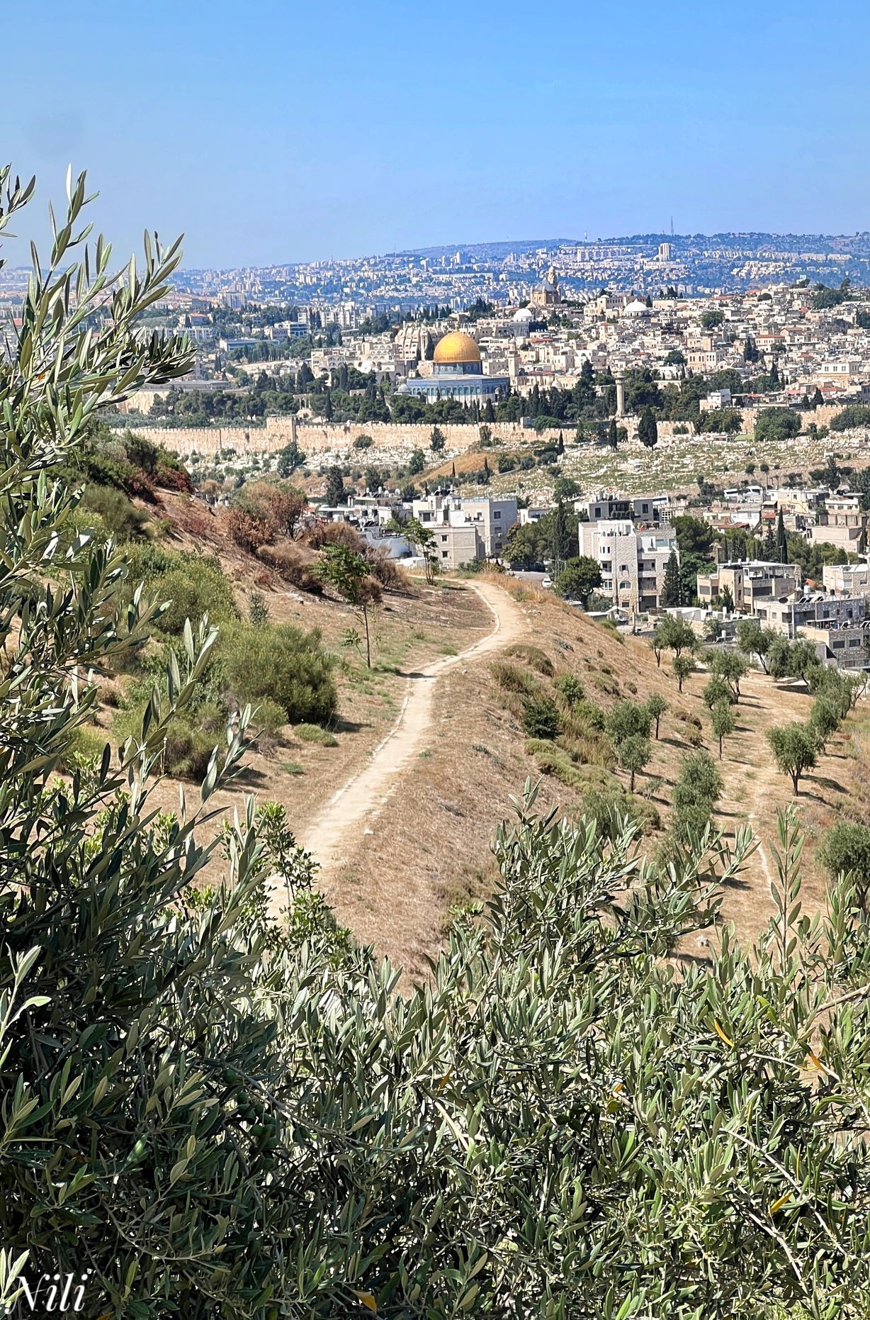 Eye-leading lines- guide the viewer's eye - Nili Israel Photos