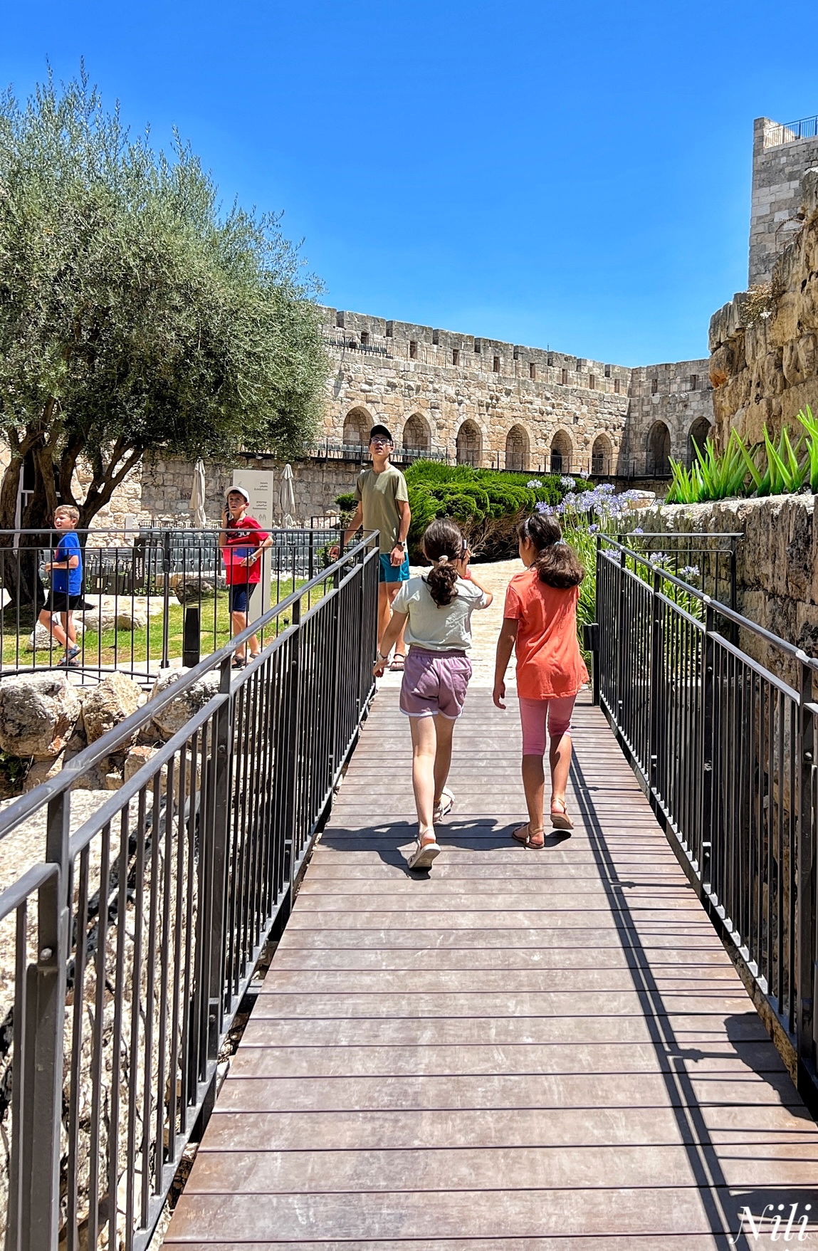 Eye-leading lines- guide the viewer's eye - Nili Israel Photos