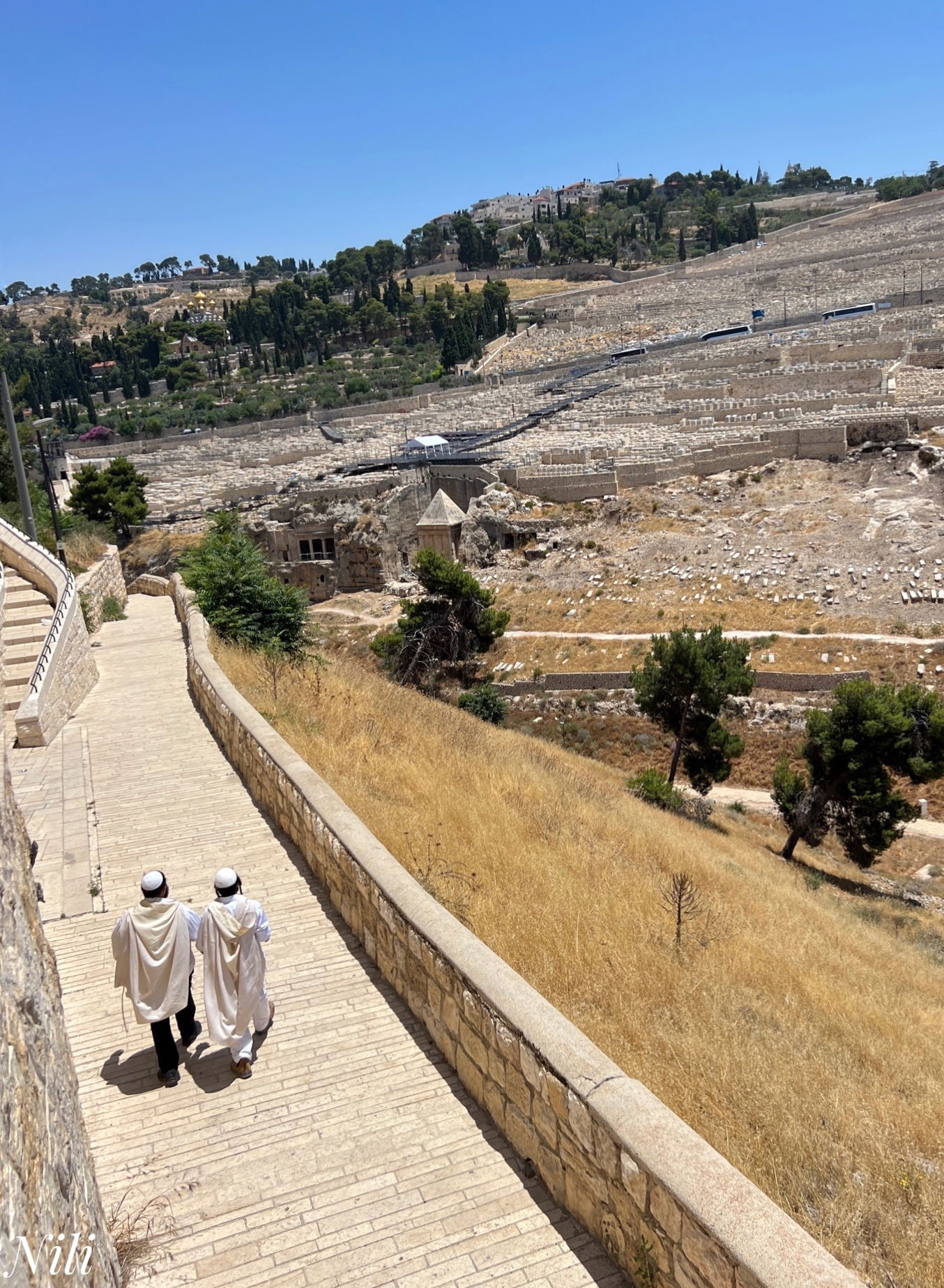 Eye-leading lines- guide the viewer's eye - Nili Israel Photos