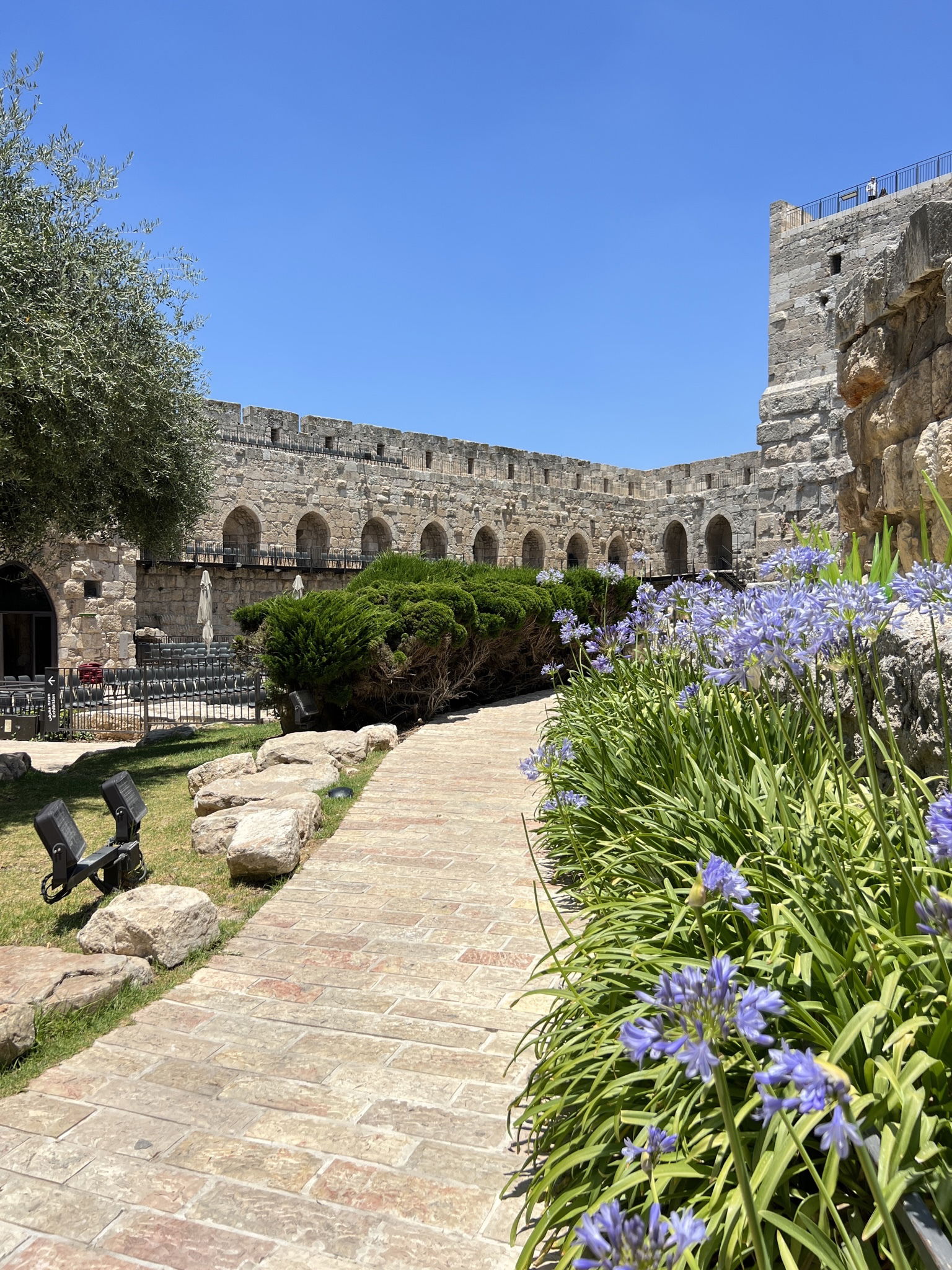 Eye-leading lines- guide the viewer's eye - Nili Israel Photos