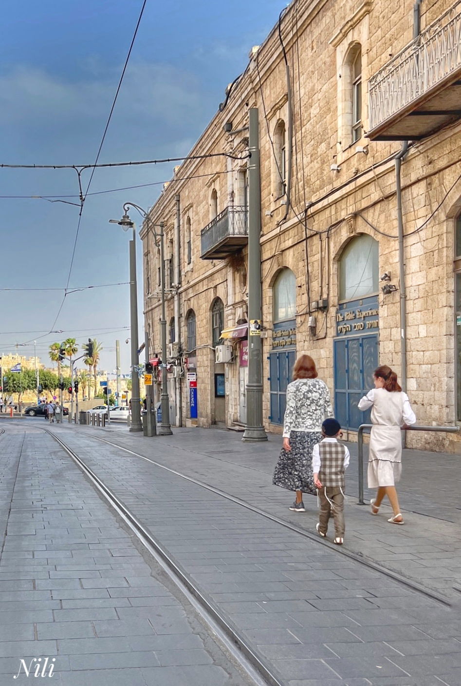 Eye-leading lines- guide the viewer's eye - Nili Israel Photos