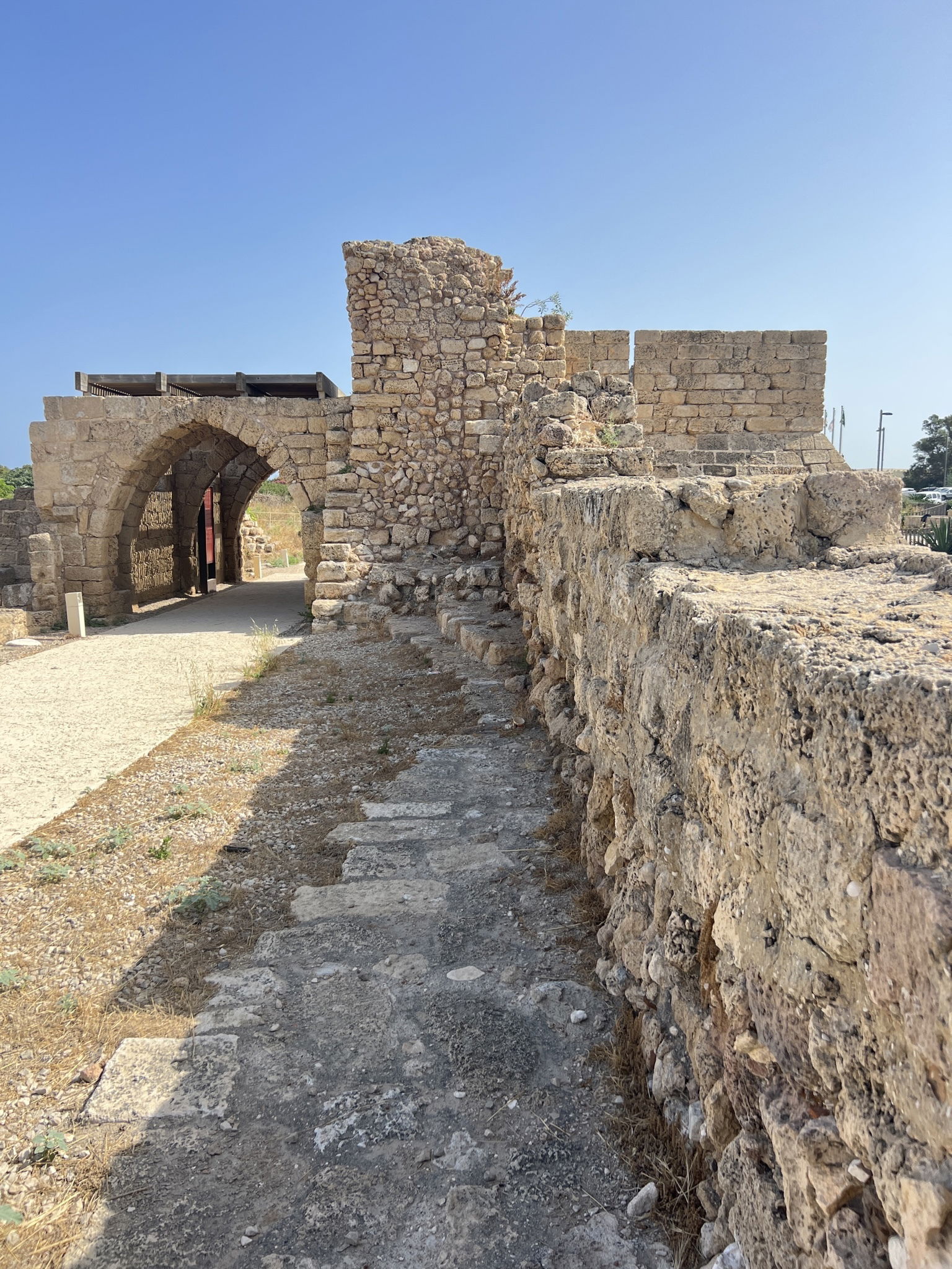 Eye-leading lines- guide the viewer's eye - Nili Israel Photos