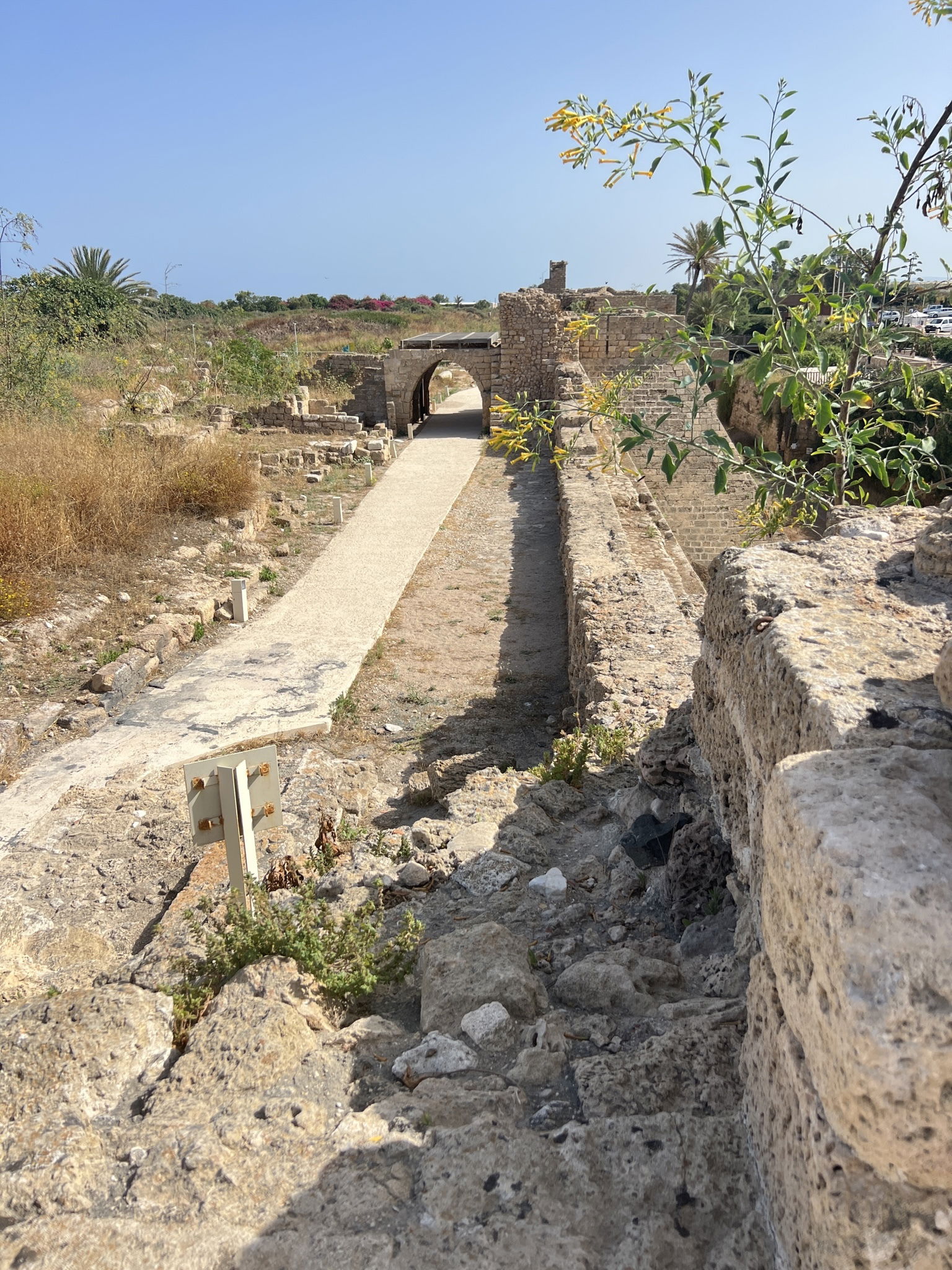 Eye-leading lines- guide the viewer's eye - Nili Israel Photos