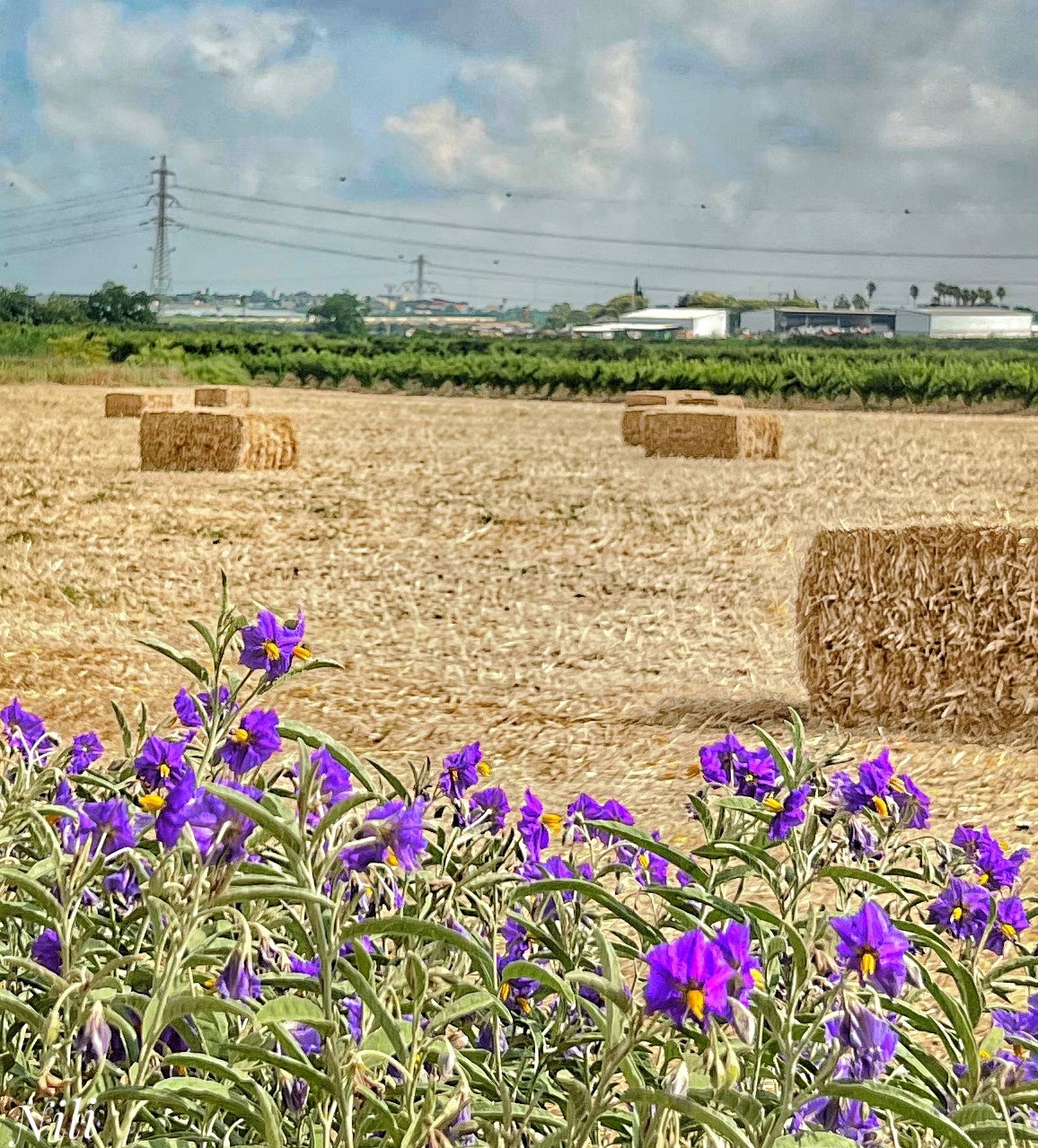 Natural framing in landscape photography - Nili Israel Photos