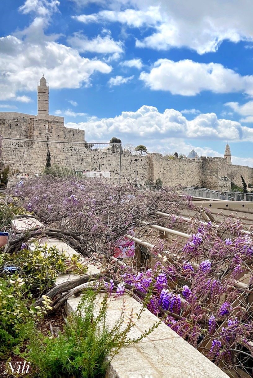 Beautiful Israel photos - Nili Israel Photos