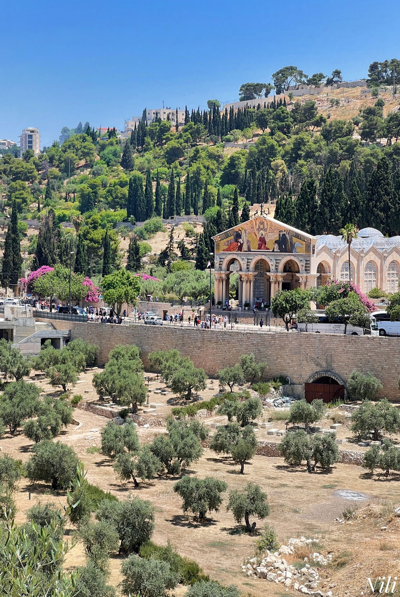 Beautiful Israel photos - Nili Israel Photos