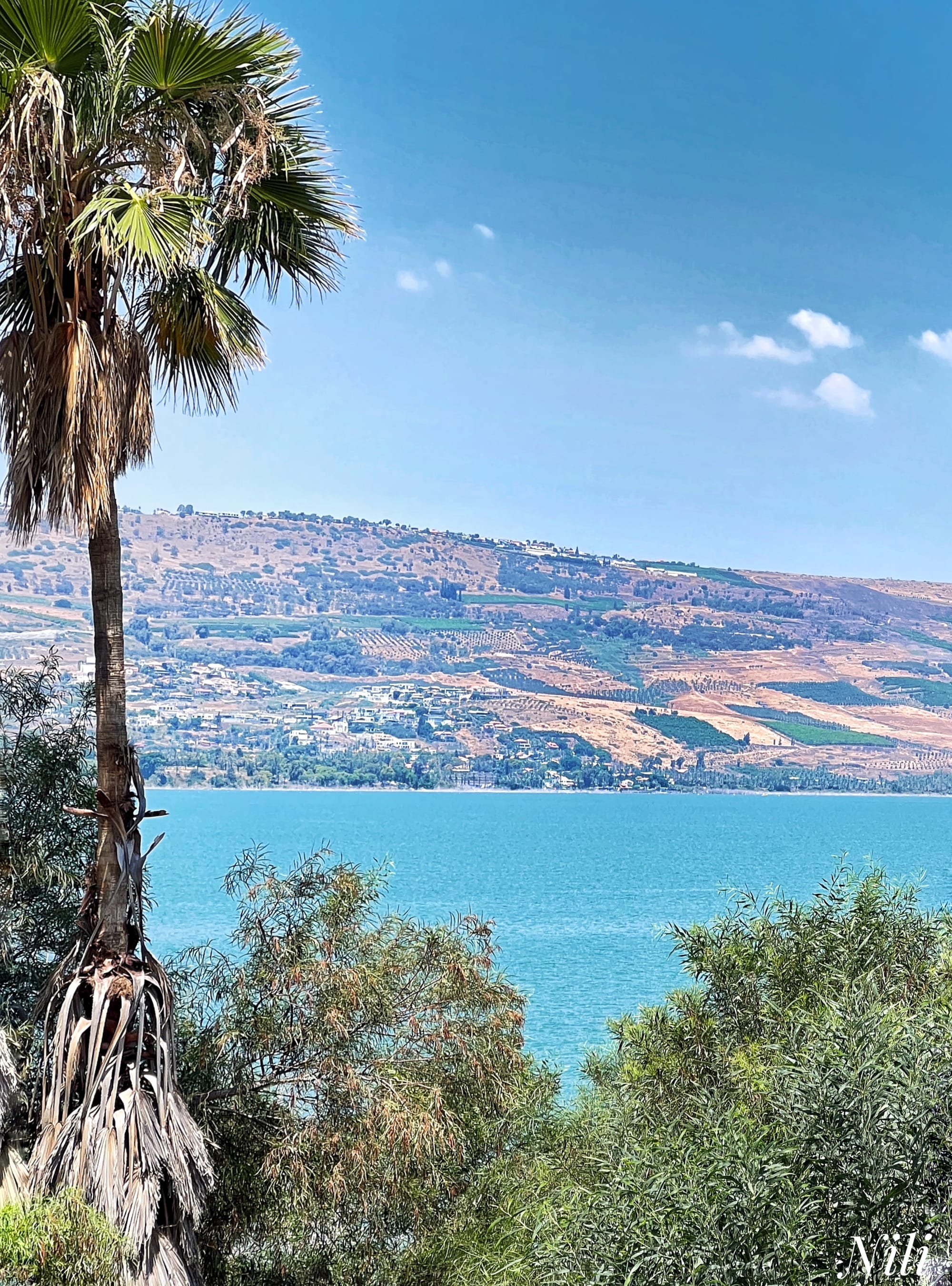 Beautiful Israel photos - Nili Israel Photos