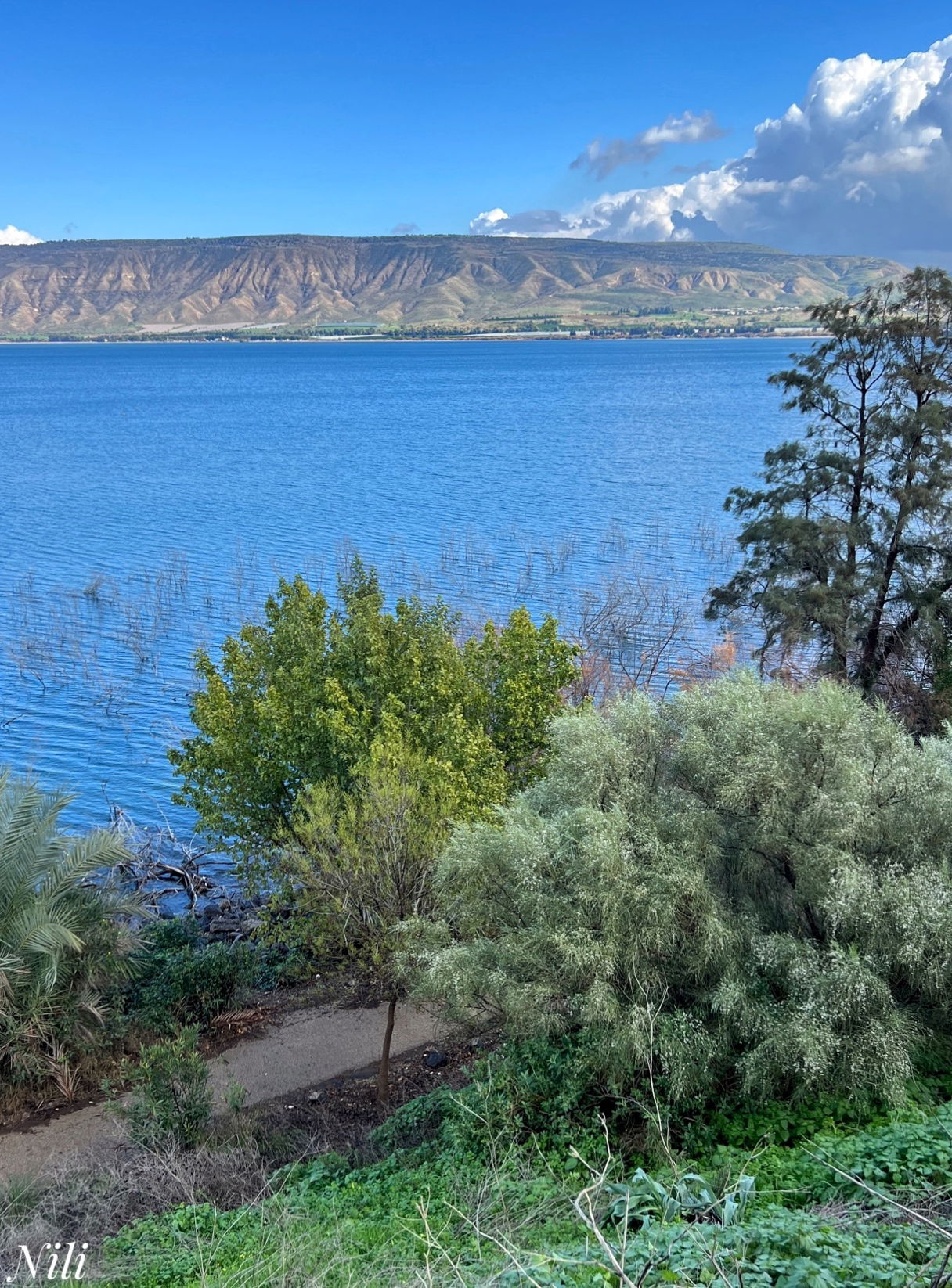 Sea of Galilee - Nili Israel Photos