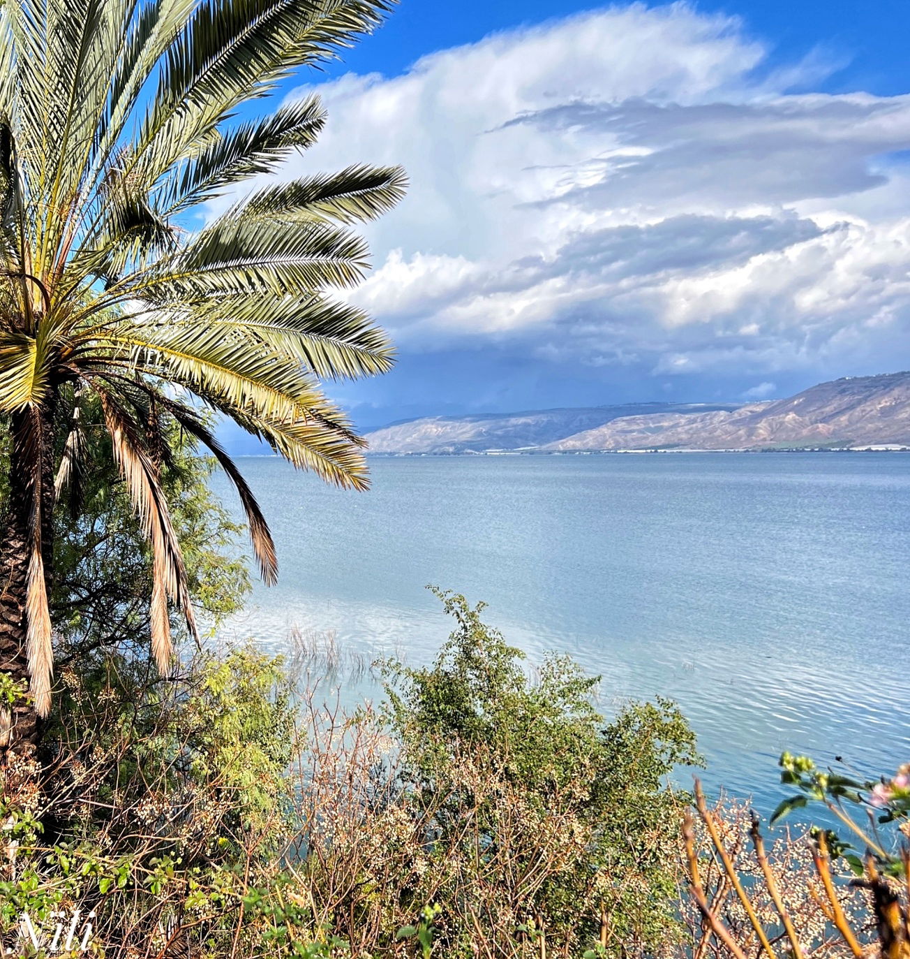 Sea of Galilee - Nili Israel Photos