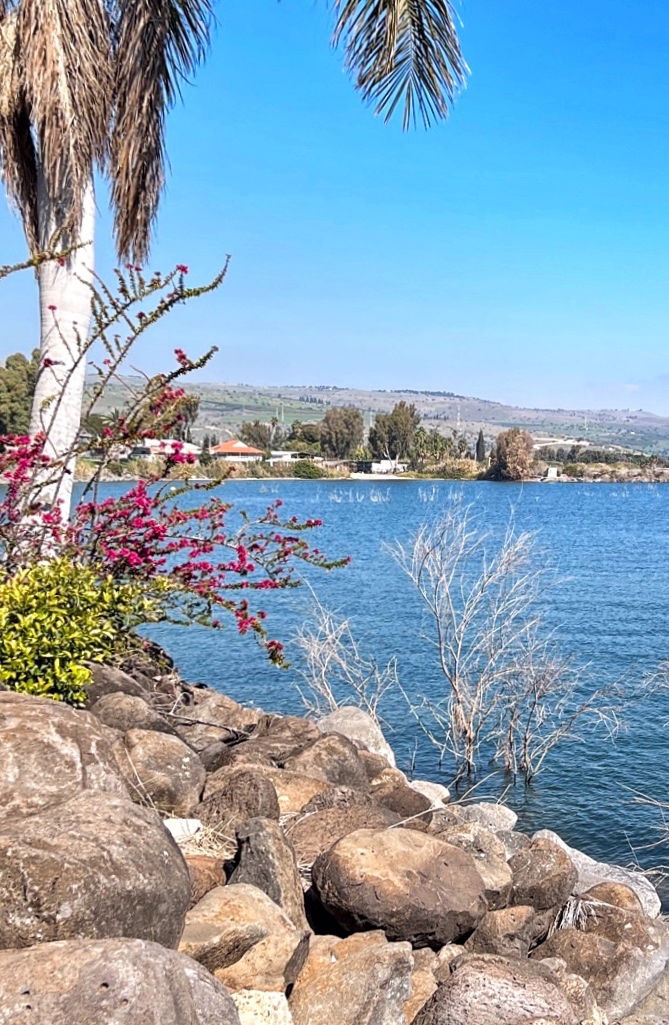 Sea of Galilee - Nili Israel Photos