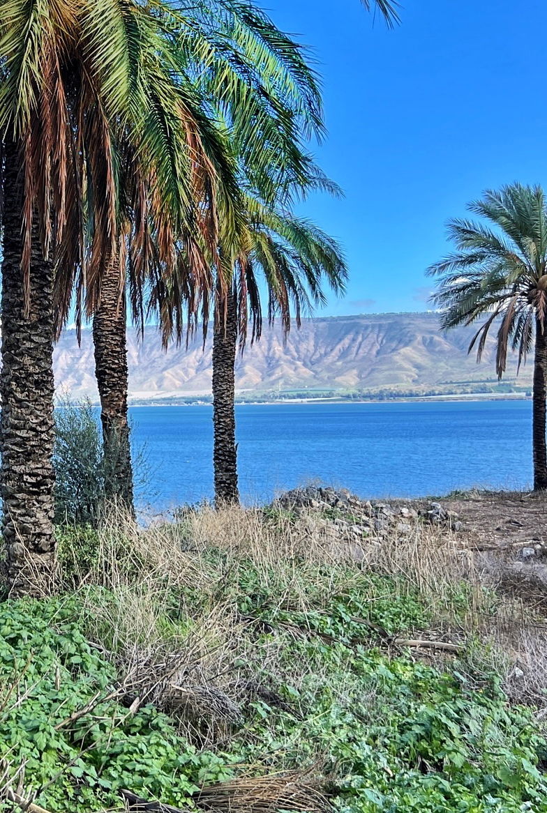 Sea of Galilee - Nili Israel Photos