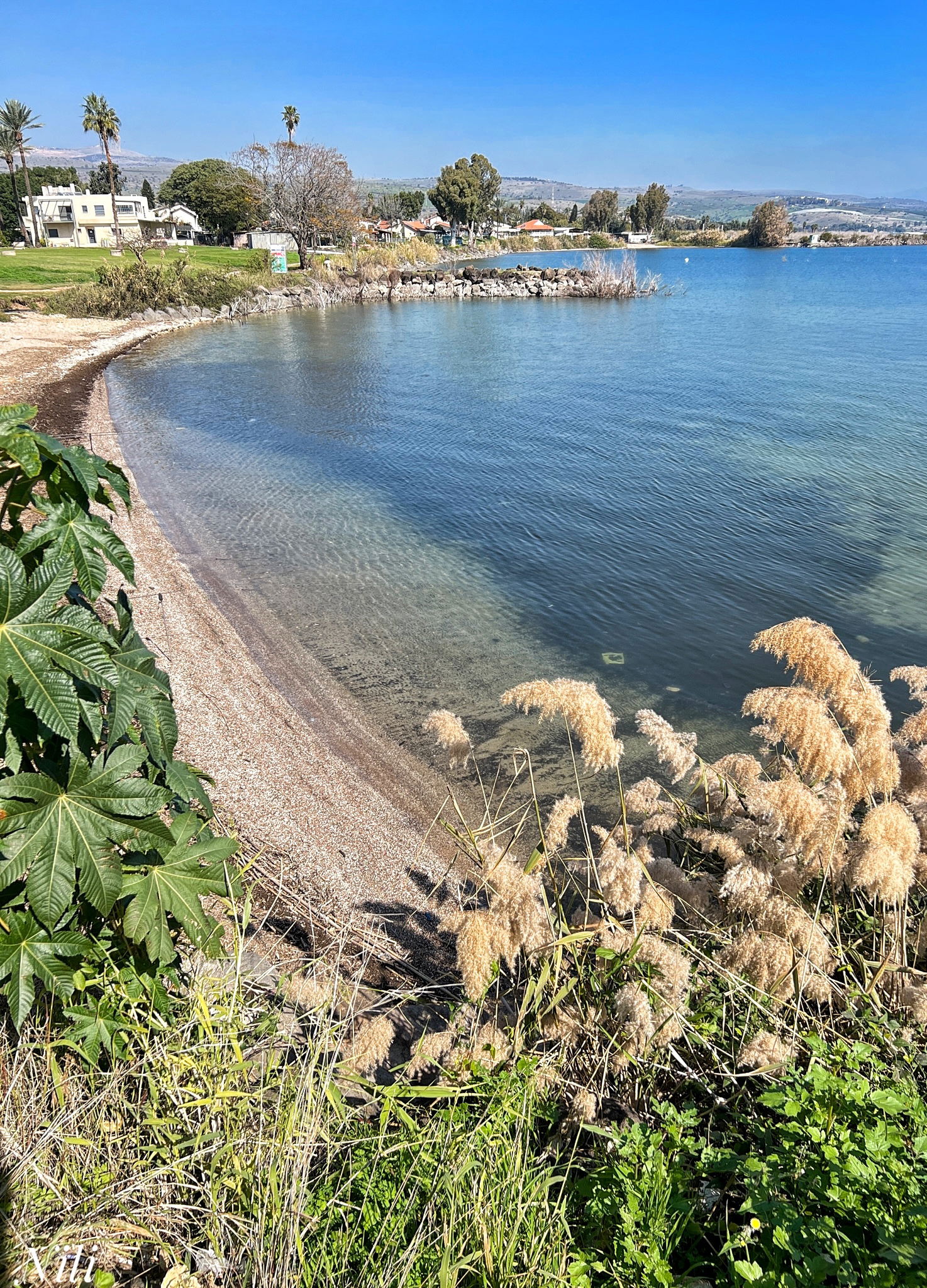 Sea of Galilee - Nili Israel Photos