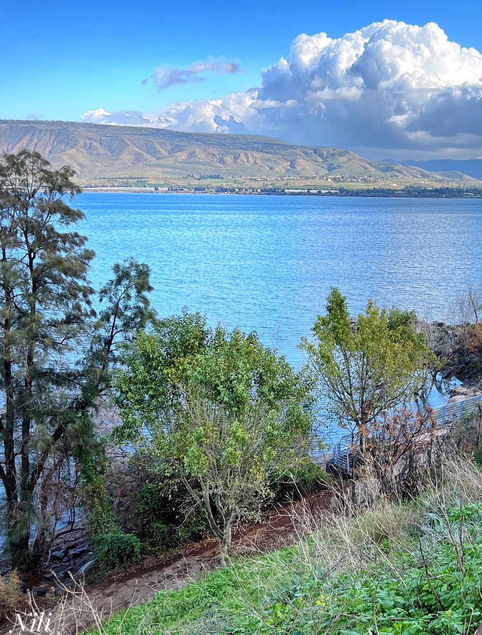 Sea of Galilee - Nili Israel Photos