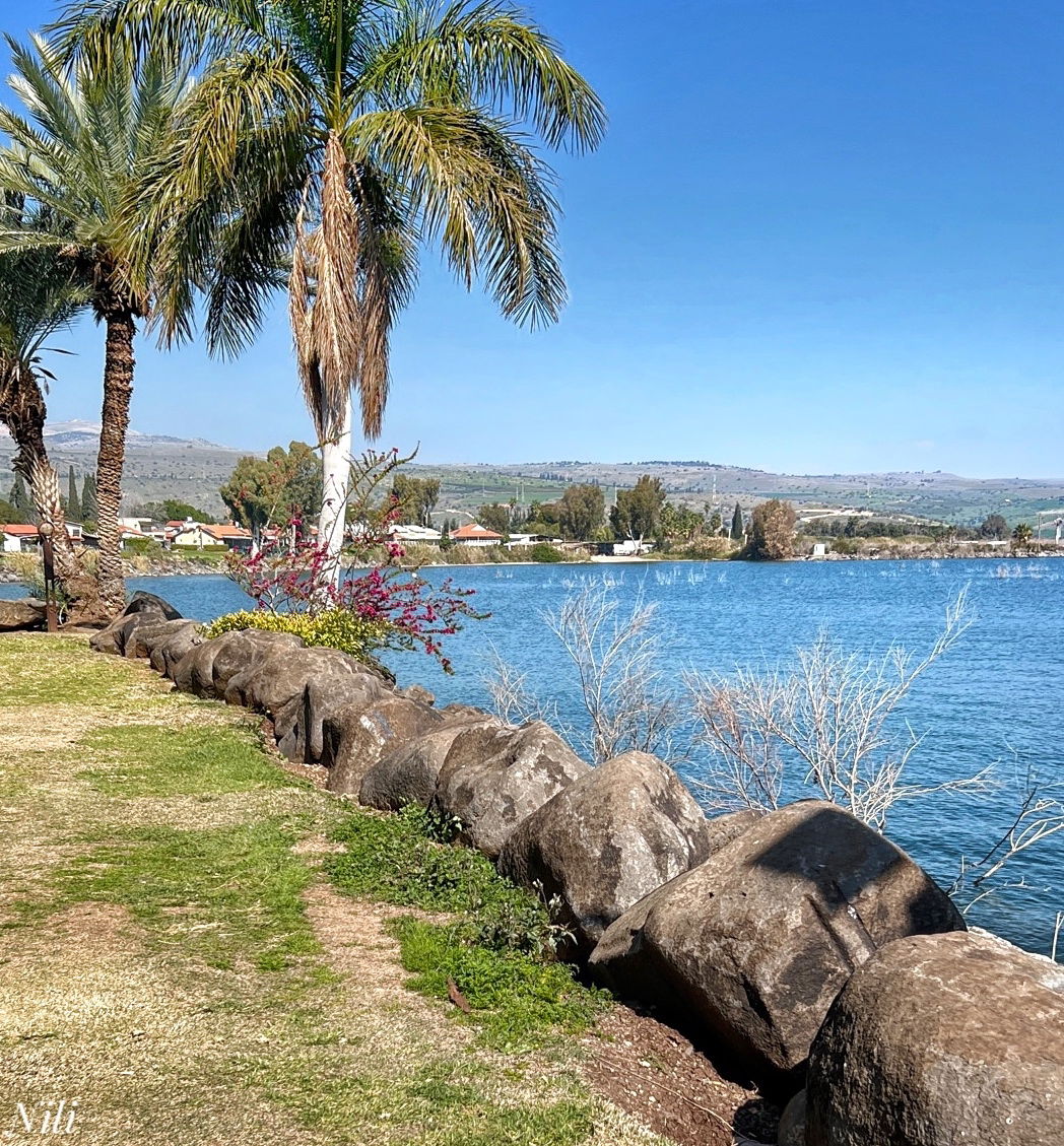 Sea of Galilee - Nili Israel Photos