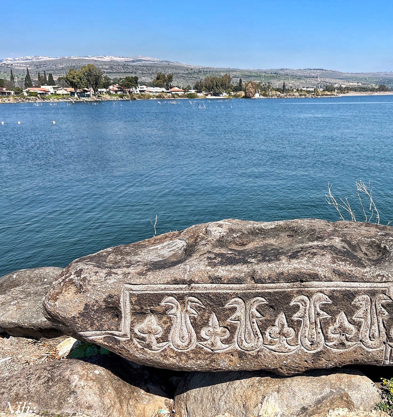 Sea of Galilee - Nili Israel Photos