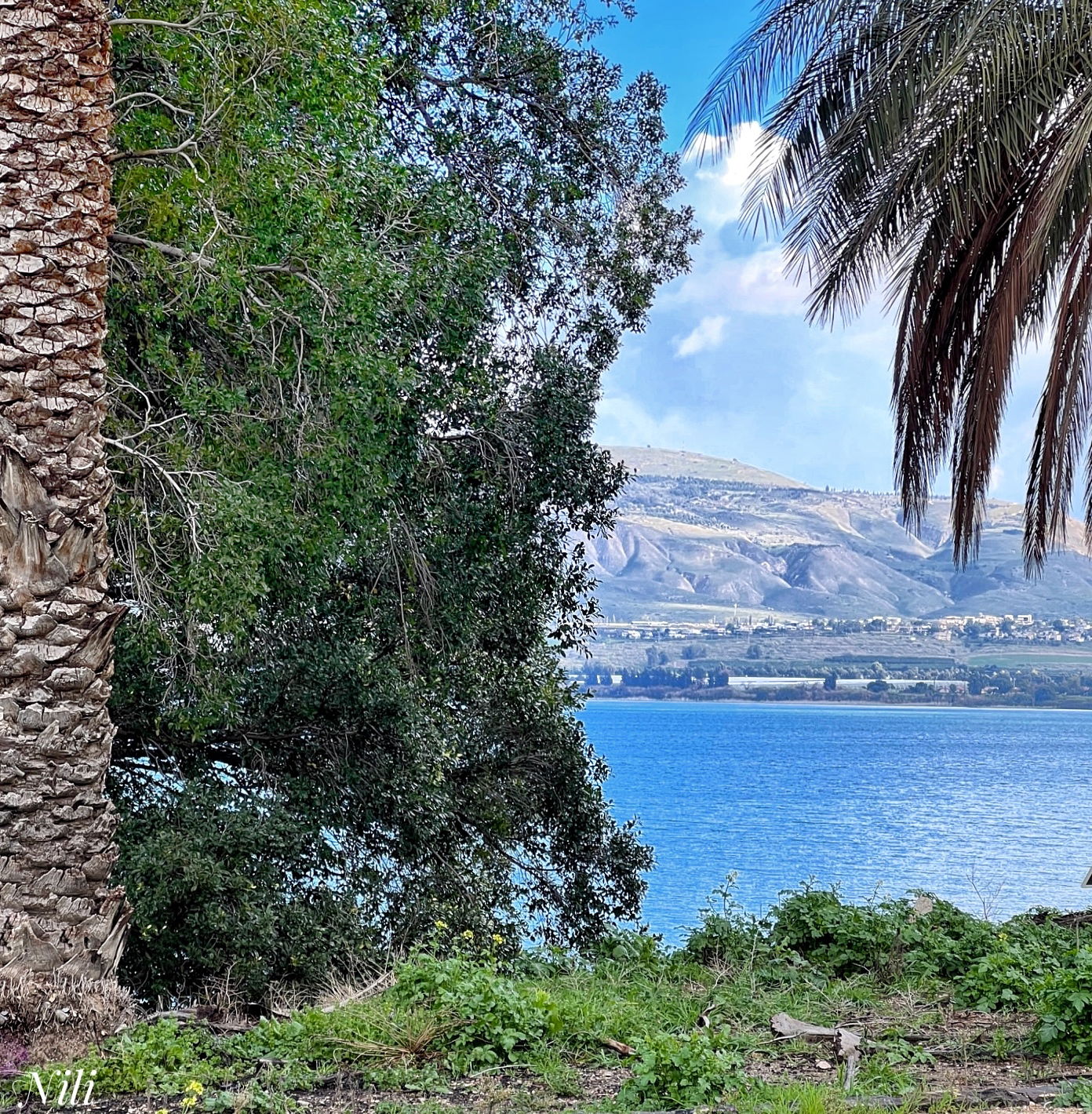 Sea of Galilee - Nili Israel Photos