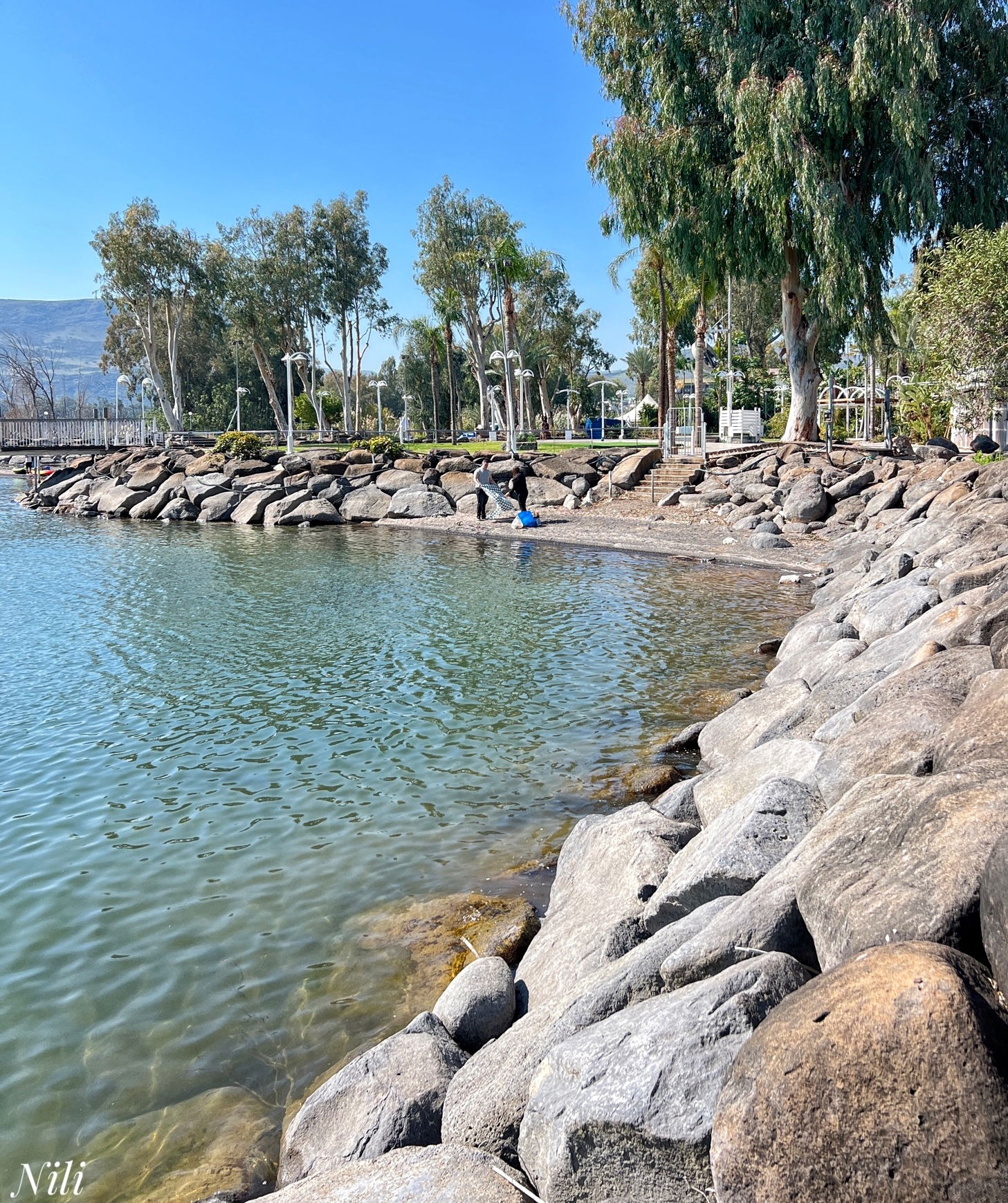 Sea of Galilee - Nili Israel Photos