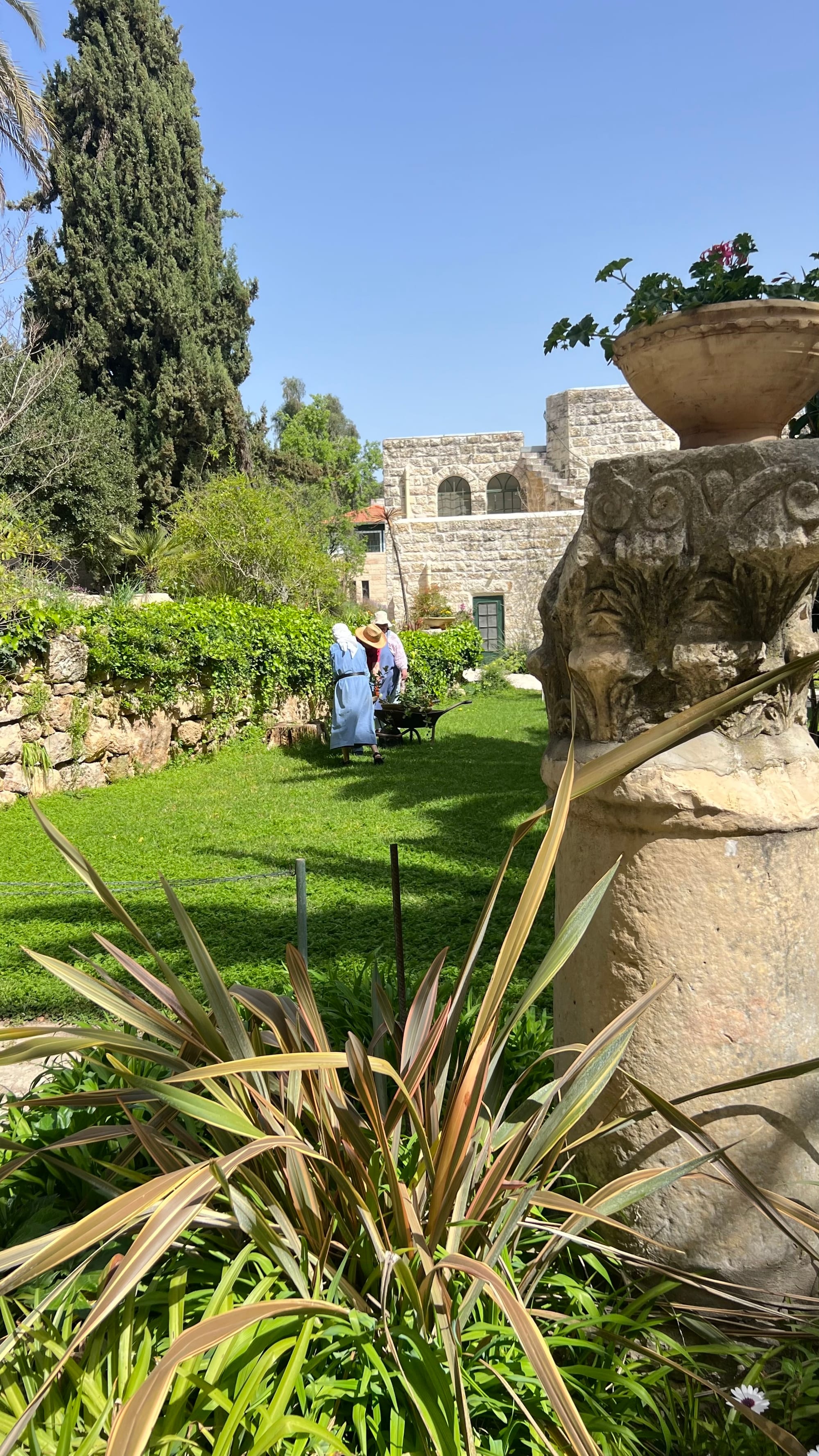 Beautiful Israel 2024 - Nili Israel Photos