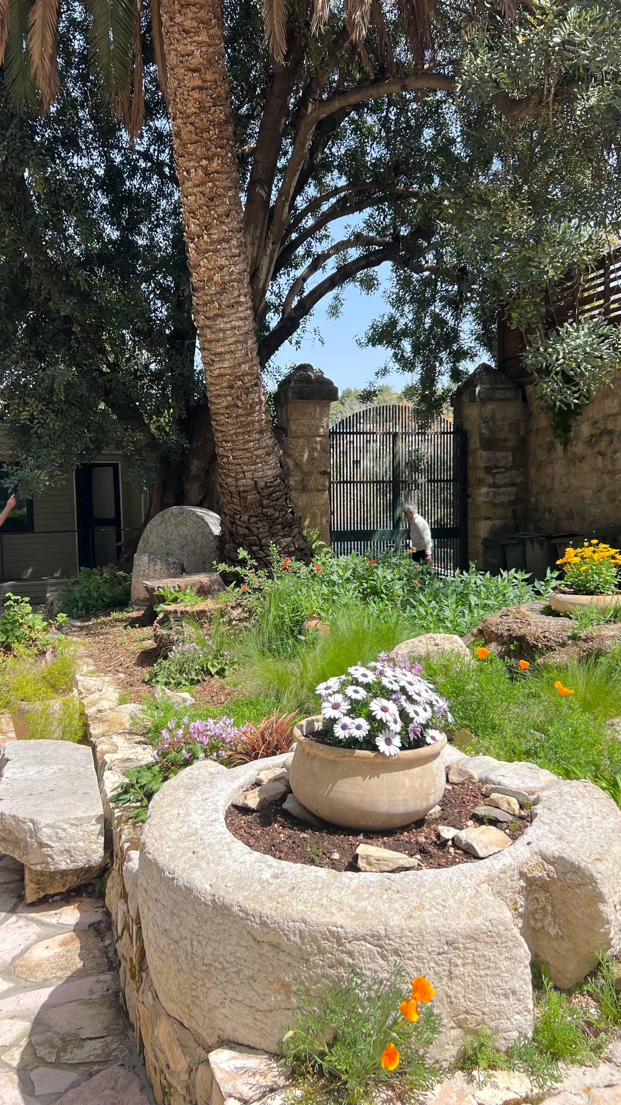 Beautiful Israel 2024 - Nili Israel Photos