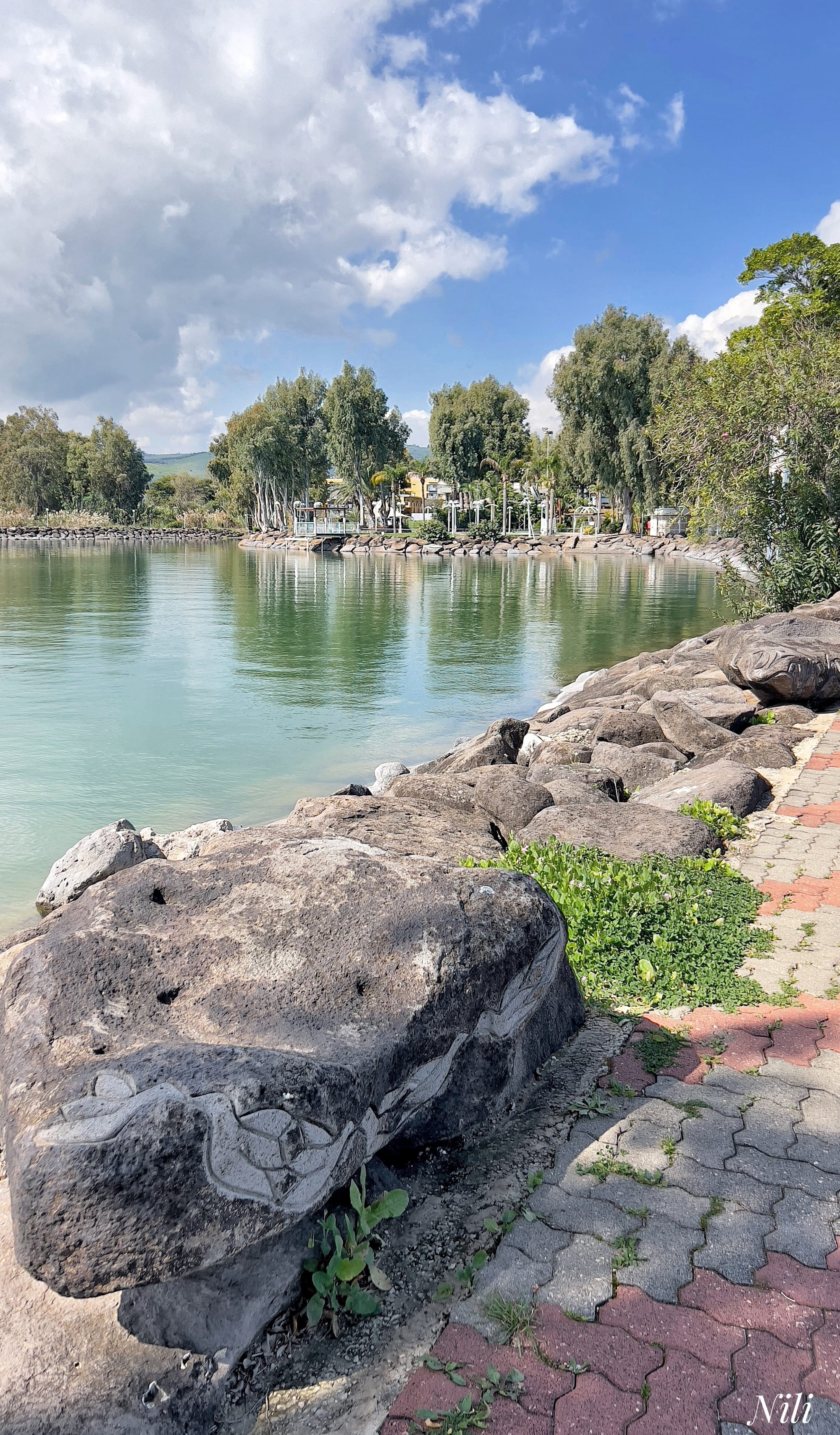 Beautiful Israel 2024 - Nili Israel Photos